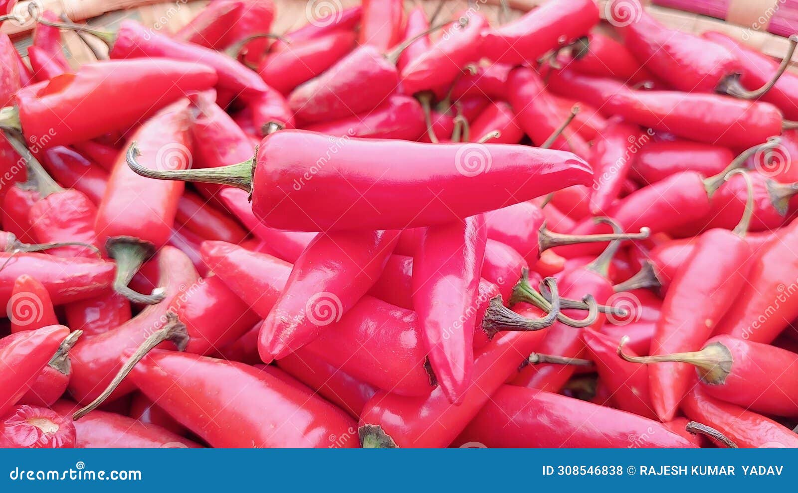 Red chilli images stock photo. Image of leaf, green - 308546838