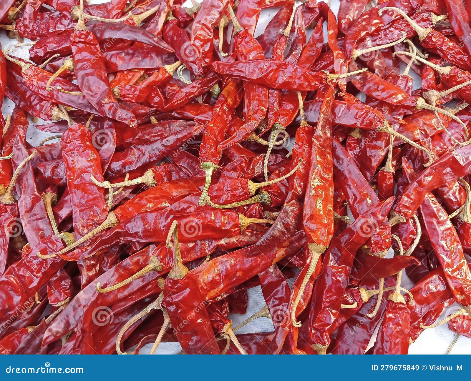 Red chilli stock image. Image of indian, seafood, flower - 279675849