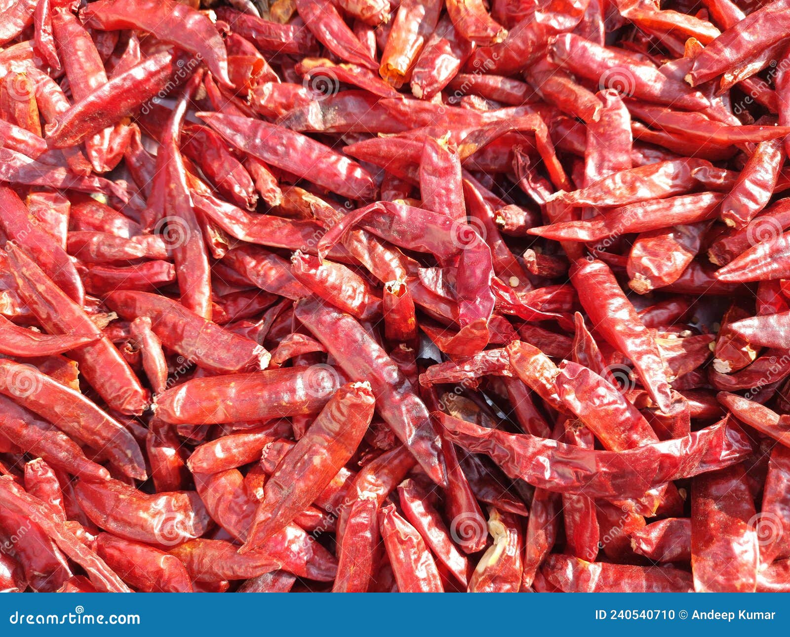 Red Chilli & X28;Lal Mirch& X29; Stock Photo - Image of mirch, spice ...