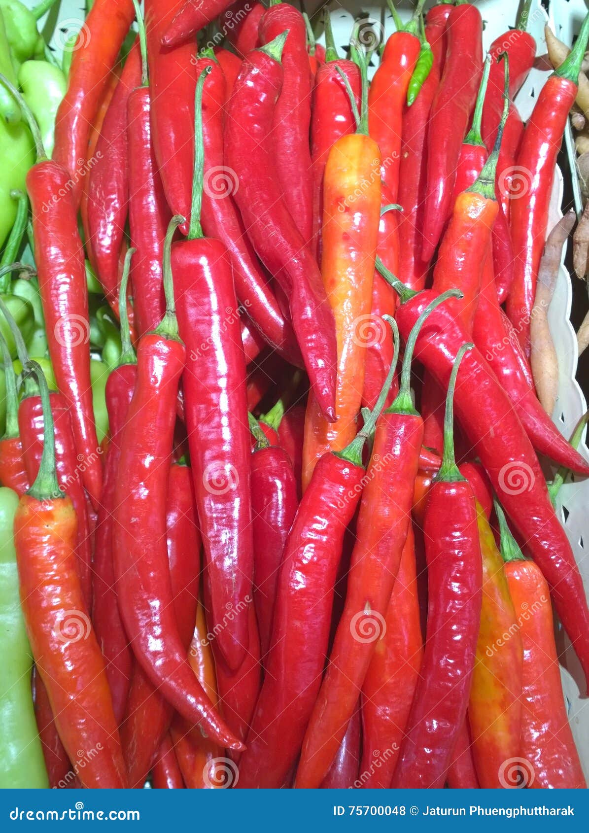 The Red chilli in a market stock photo. Image of chillis - 75700048