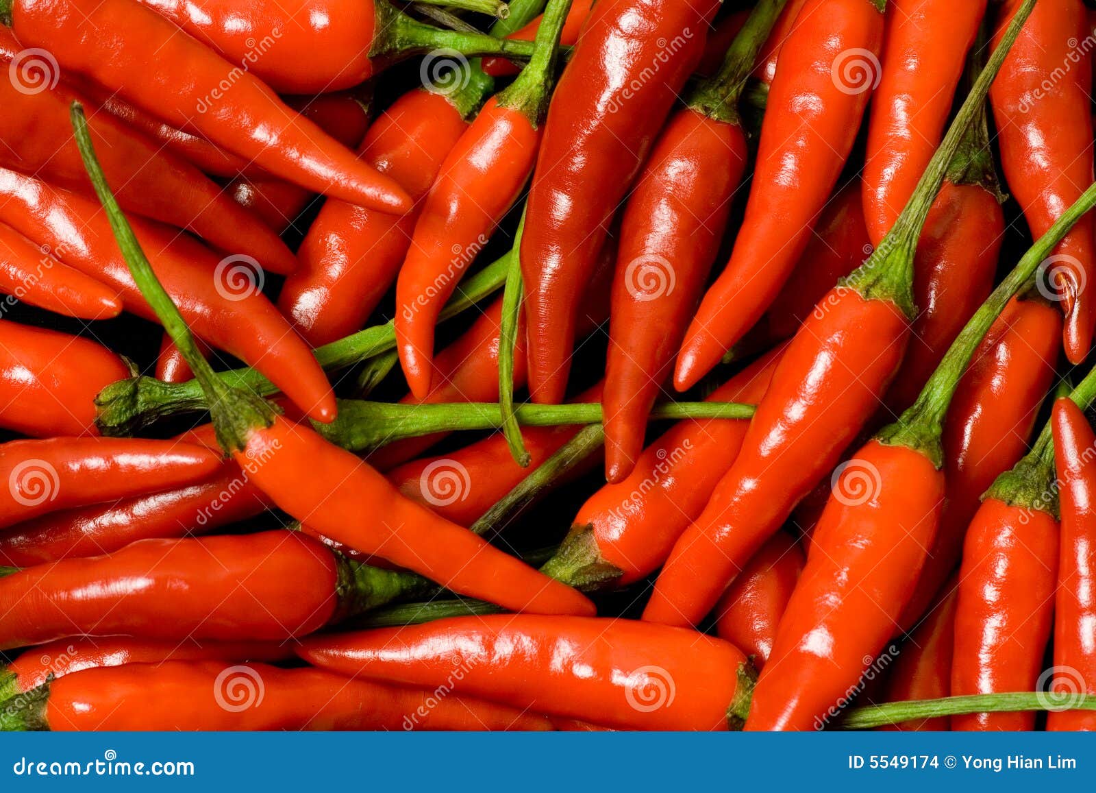496 Chilli Padi Photos - Free & Royalty-Free Stock Photos from Dreamstime