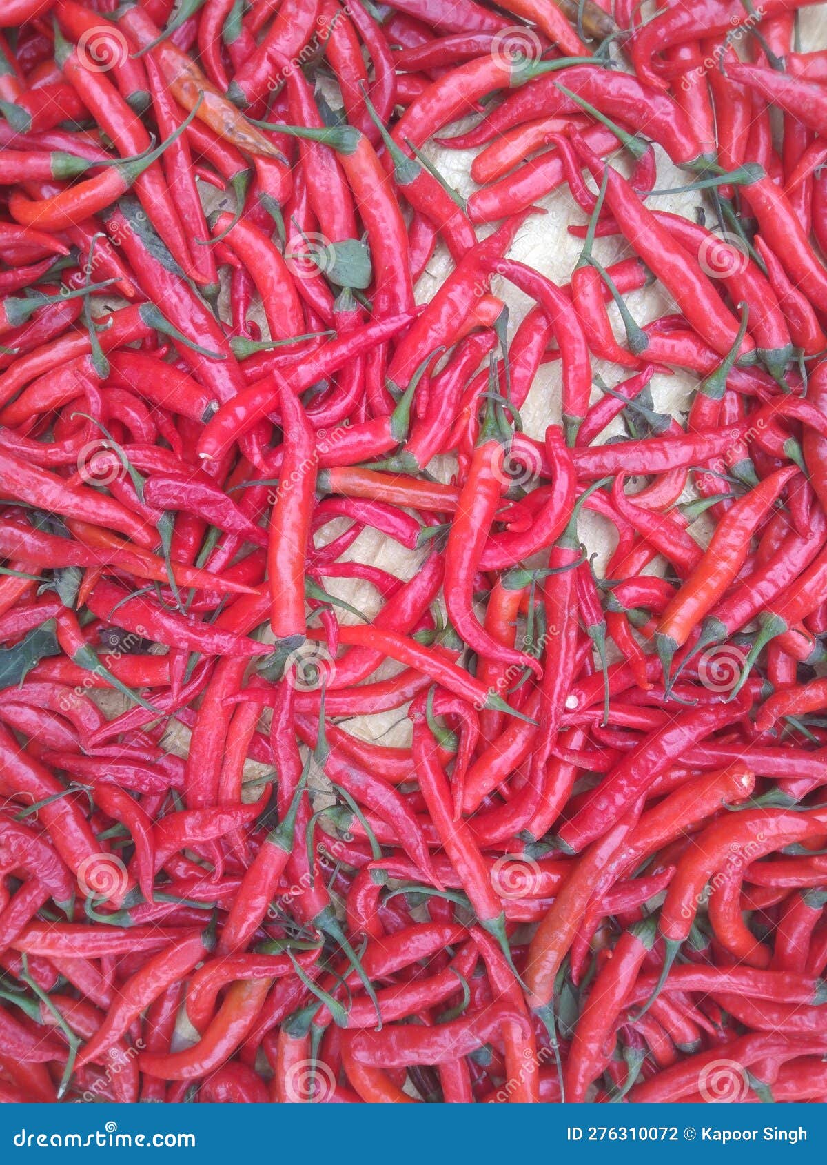 Red Chilli Paper On White Background Stock Photography | CartoonDealer ...