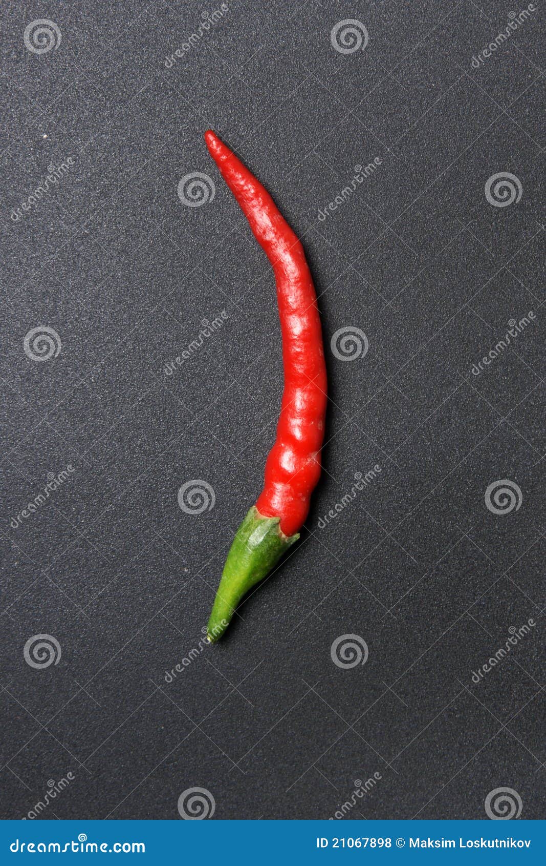 Red chilli pepper stock photo. Image of chilli, burning - 21067898