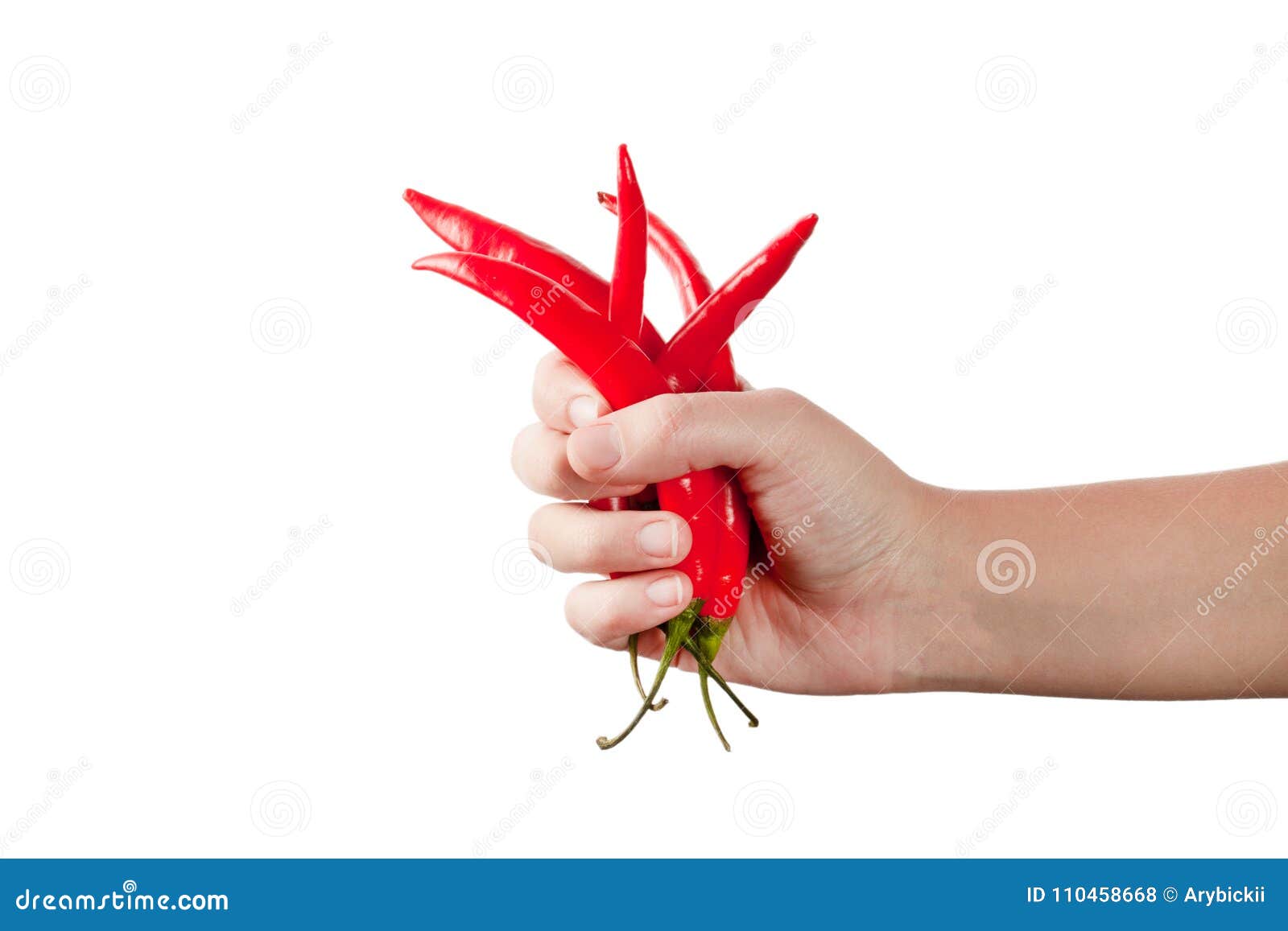 Red chilli pepper in hand stock photo. Image of asian - 110458668