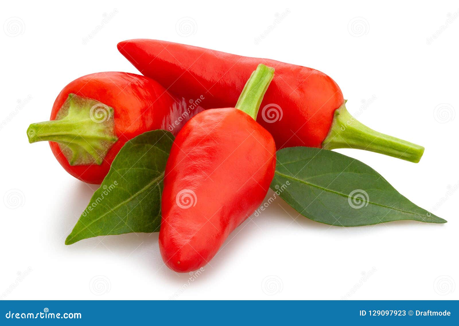 Red chilli pepper stock image. Image of food, spice - 129097923