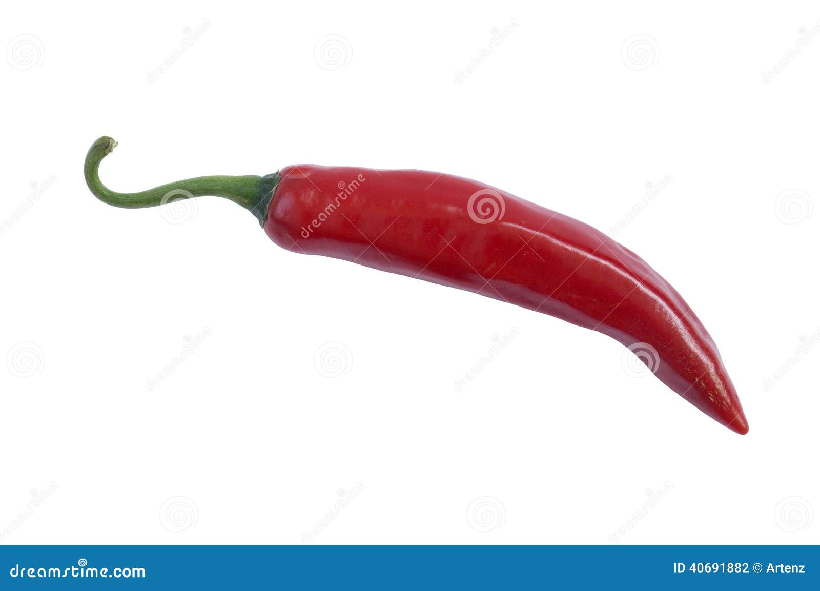 Red Chilli Pepper stock photo. Image of flavoring, piquant - 40691882