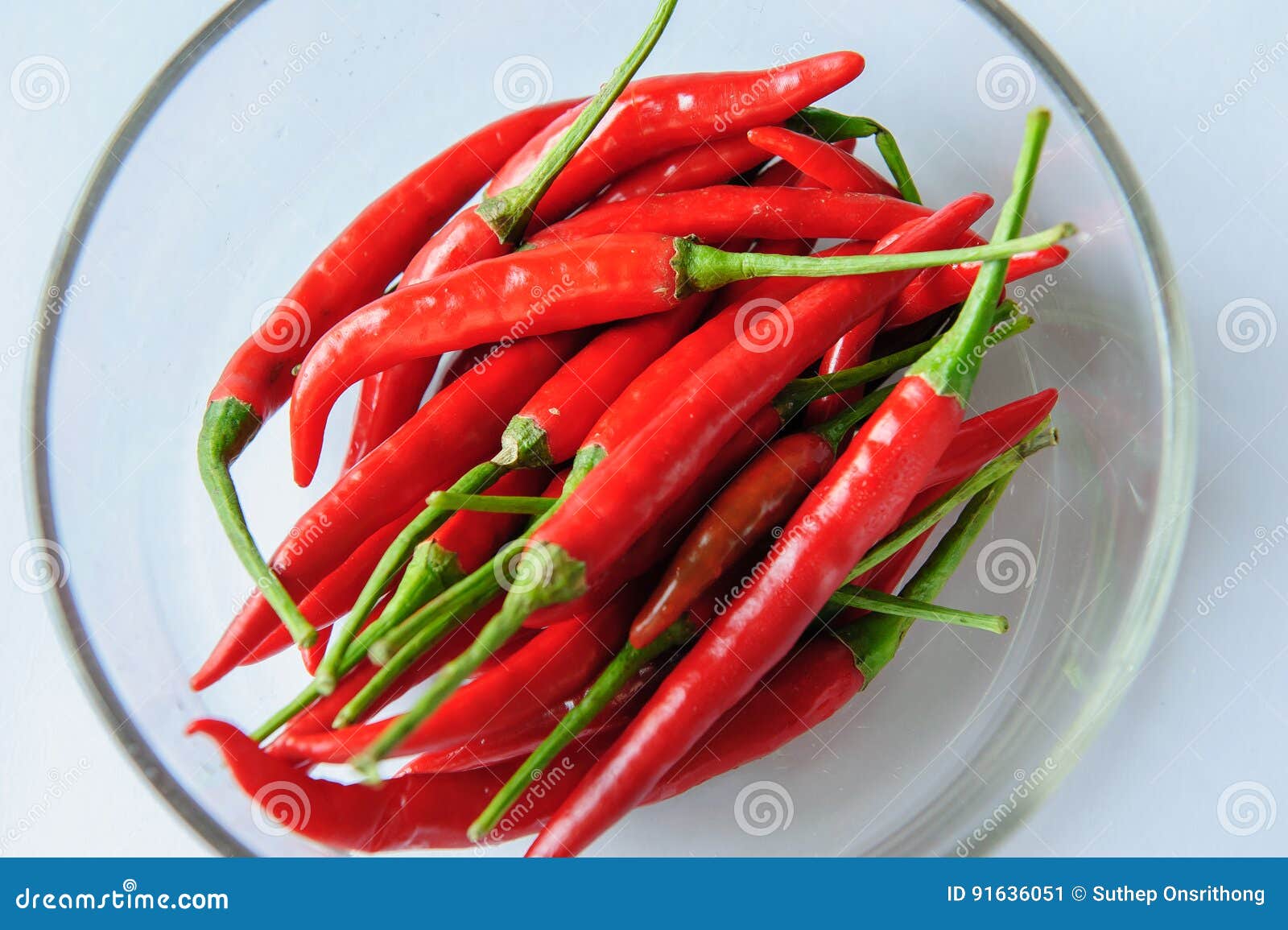 Red chilli stock image. Image of pepper, isolated, spicy - 91636051