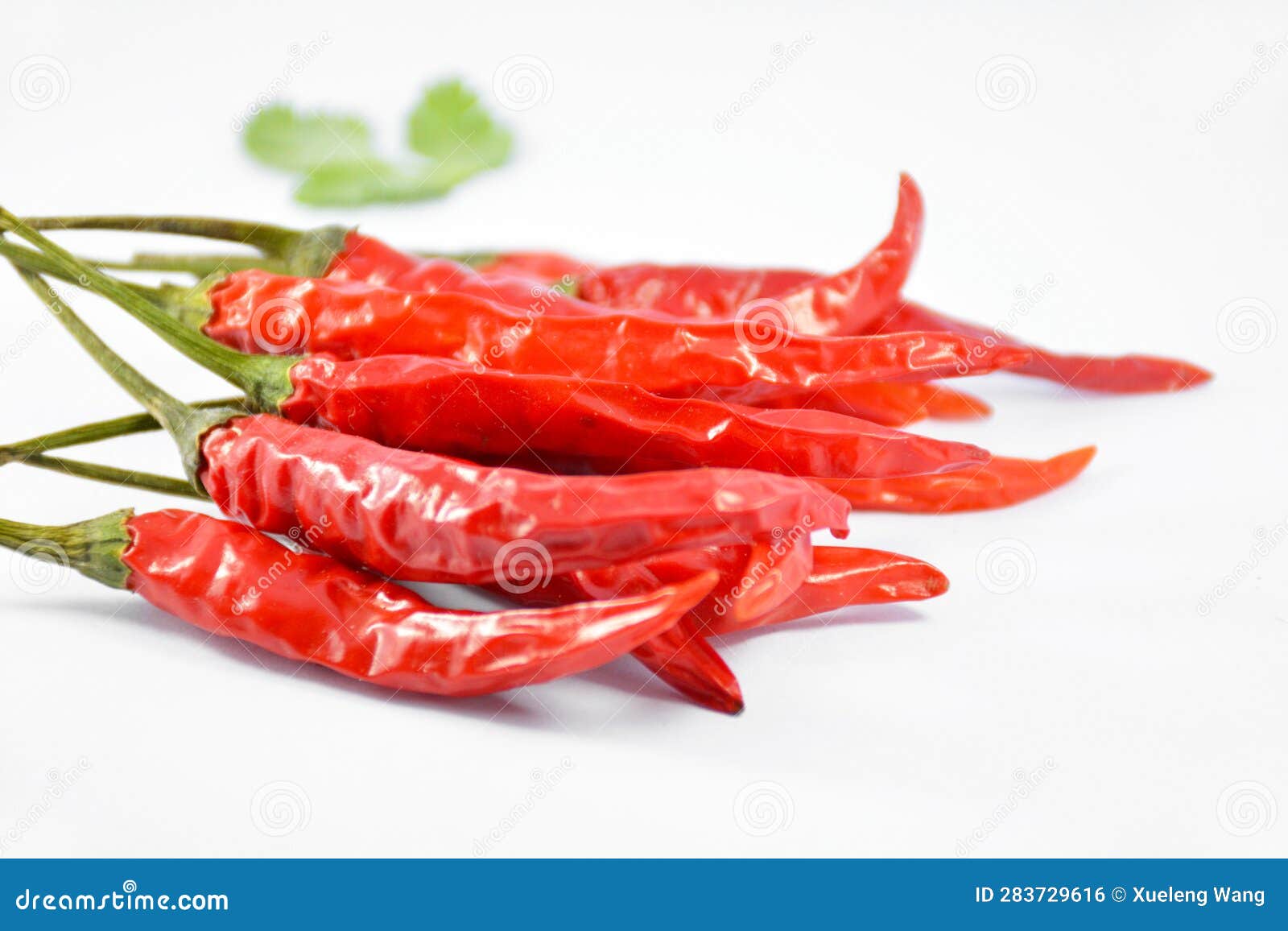 Red Chilli Pepper on the White Background Stock Photo - Image of dish ...