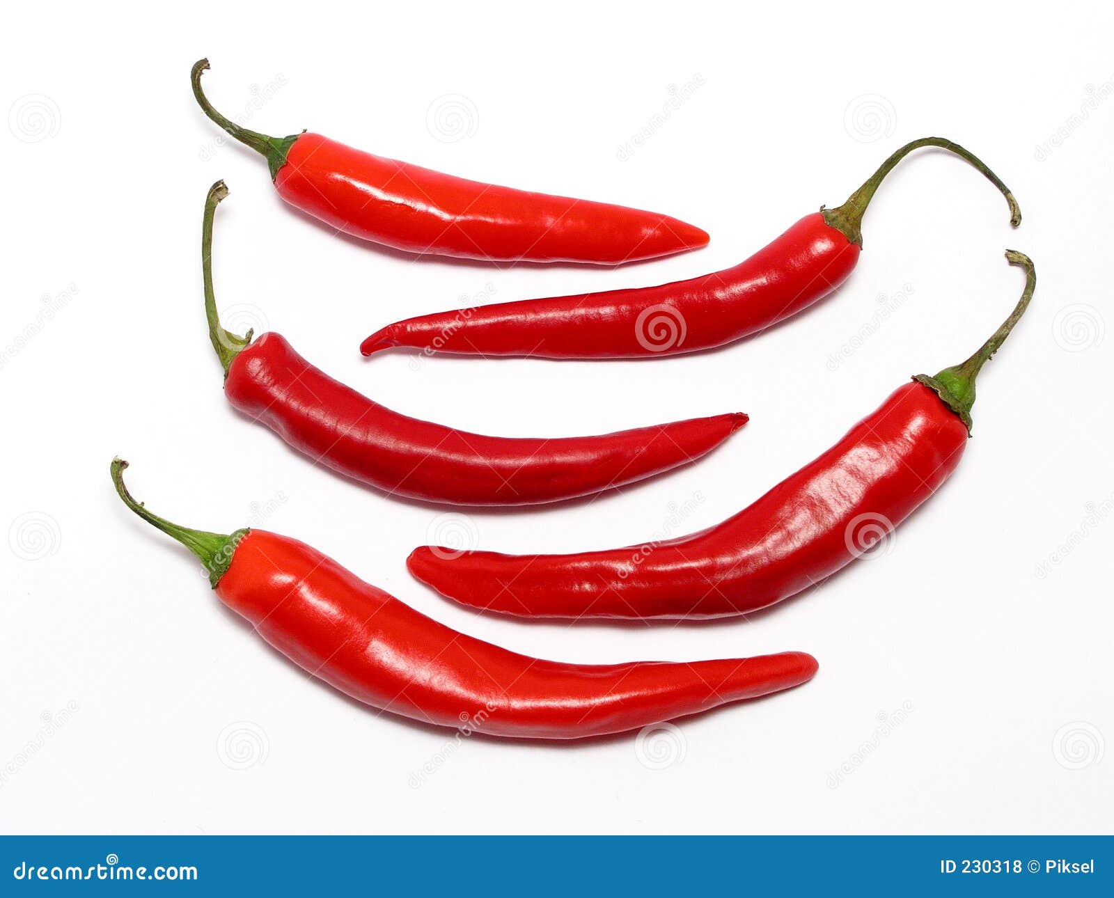 Red chilli peppers stock photo. Image of pepper, food, still - 230318
