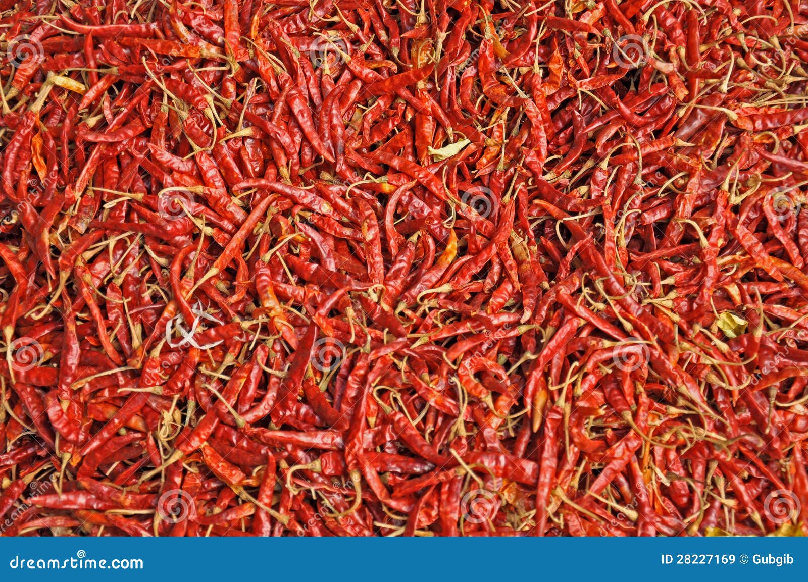 Red chilli peppers stock image. Image of spicy, chilies - 28227169