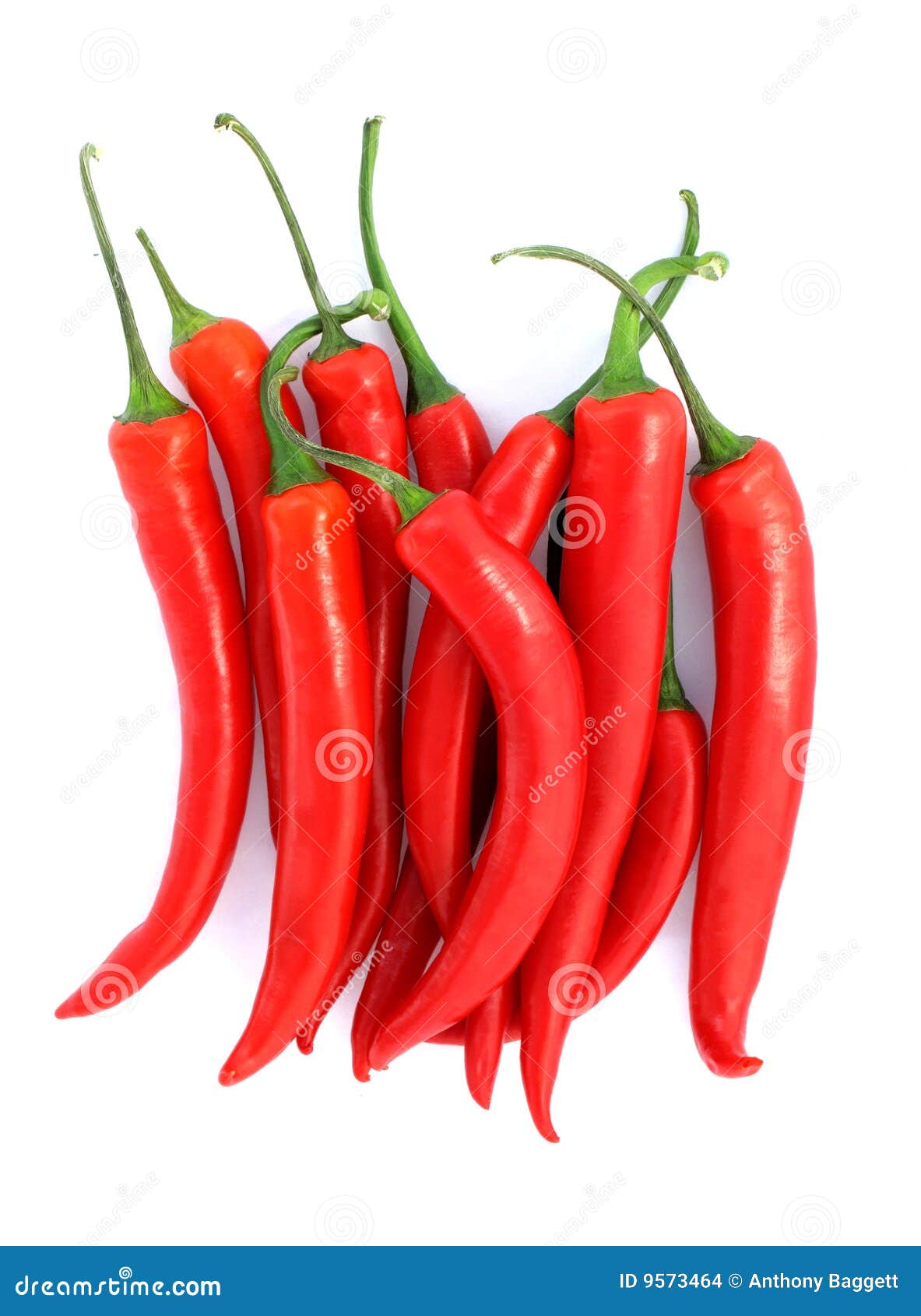 Red Chilli Peppers stock photo. Image of organic, peppers - 9573464