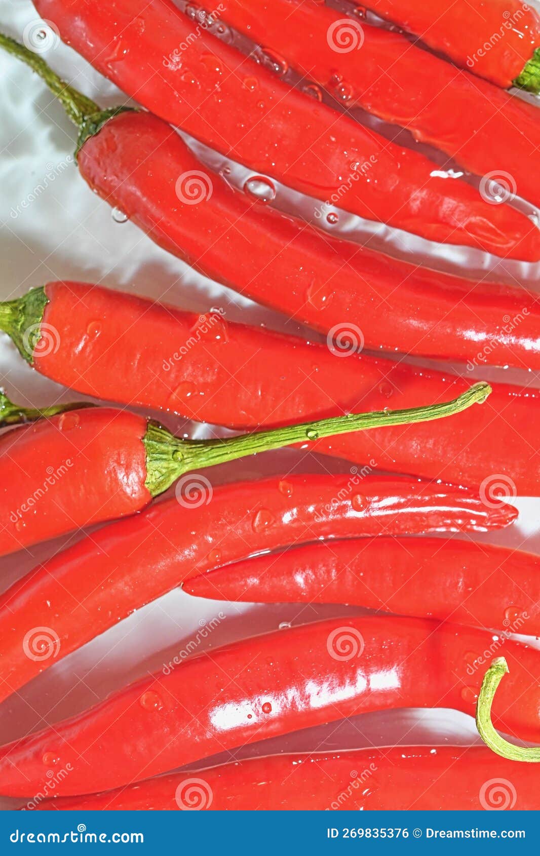 Red Chilli Peppers Close-up in Liquid with Bubbles. Slices of Red ...