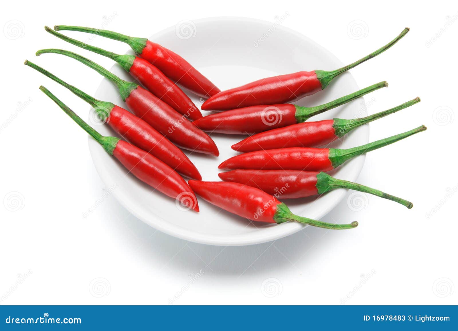 Red Chilli on Plate stock image. Image of life, organic - 16978483