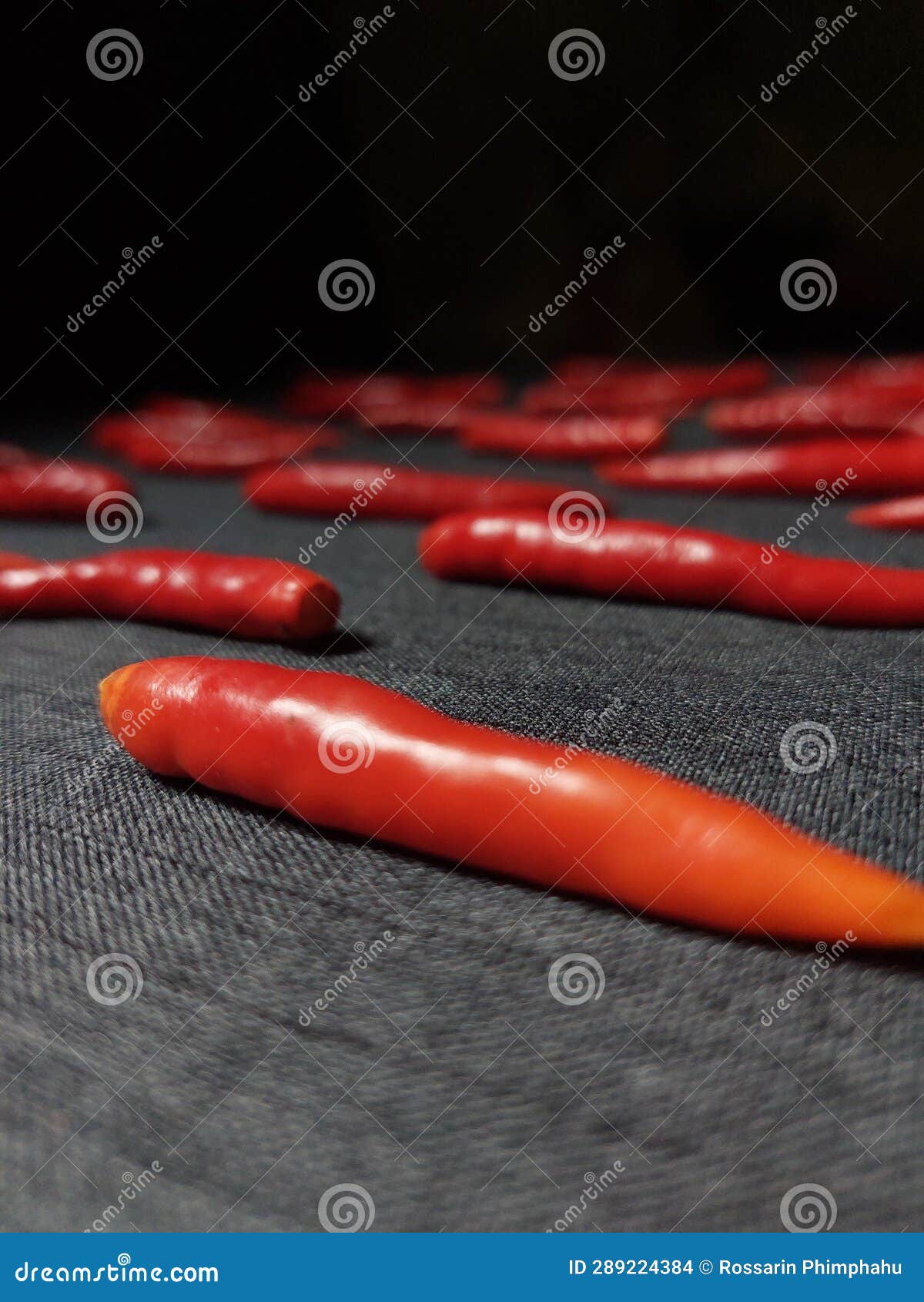 Red Chilli Seeds Scattered at a Low Angle Stock Photo - Image of quail ...