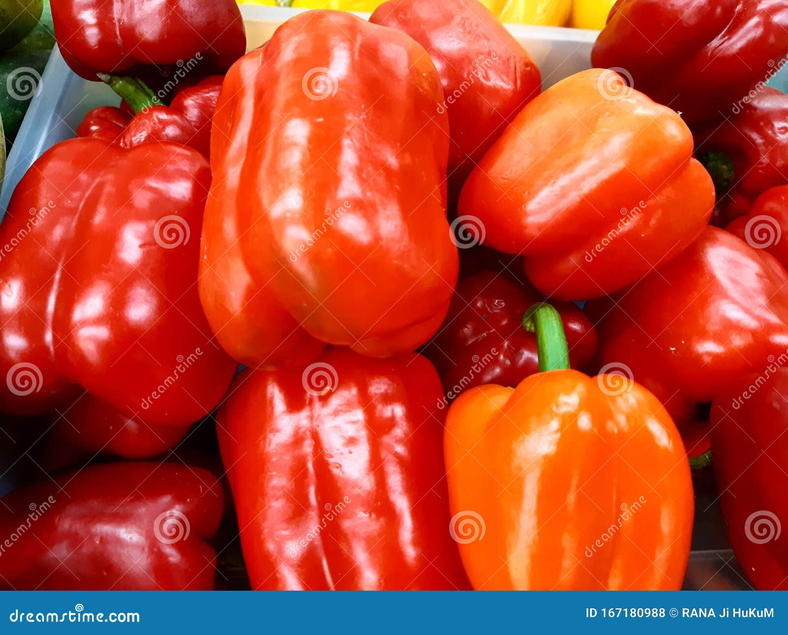 Red chilli shimla mirch stock photo. Image of nature - 167180988