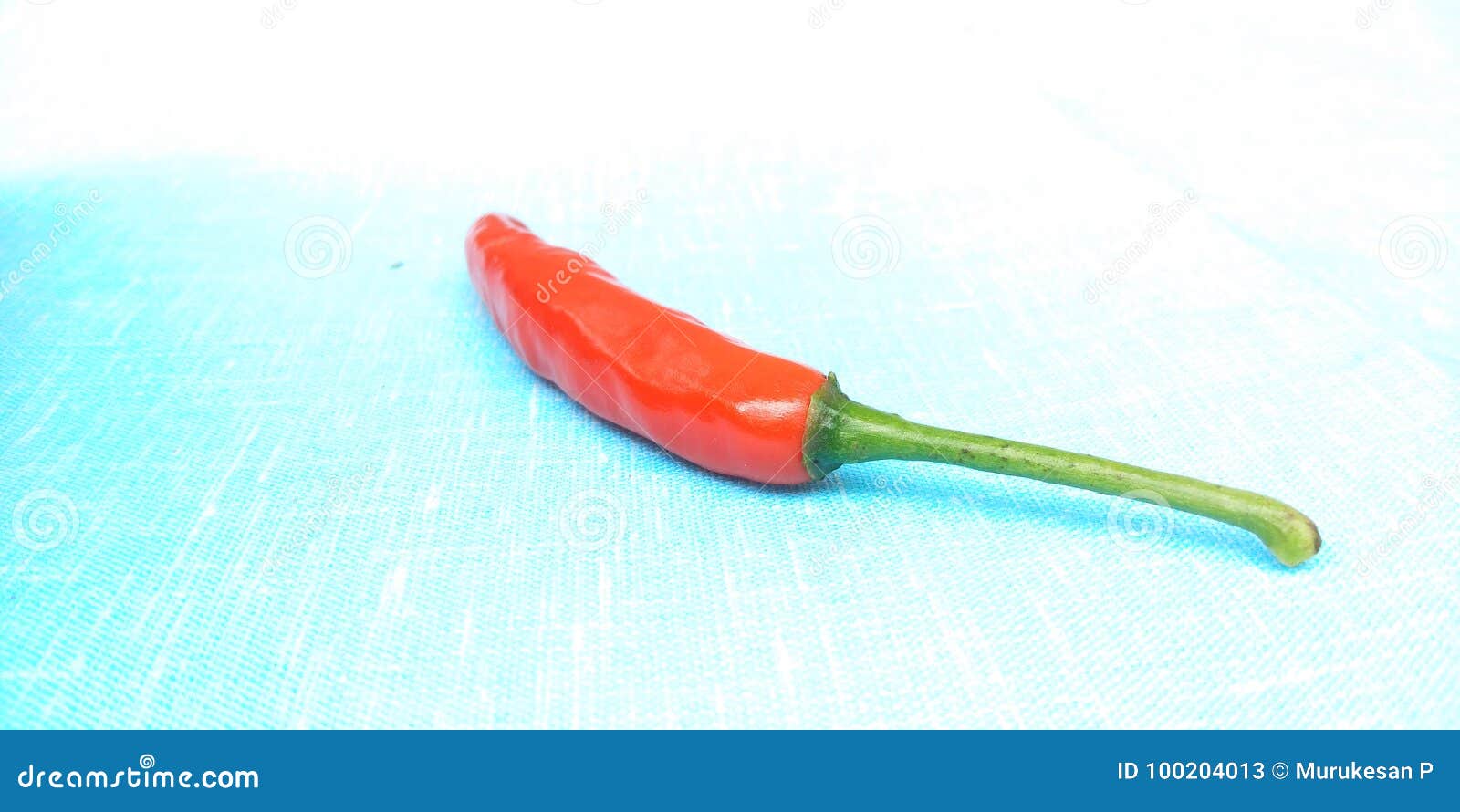 Red chilli stock image. Image of spicy, indian, single - 100204013