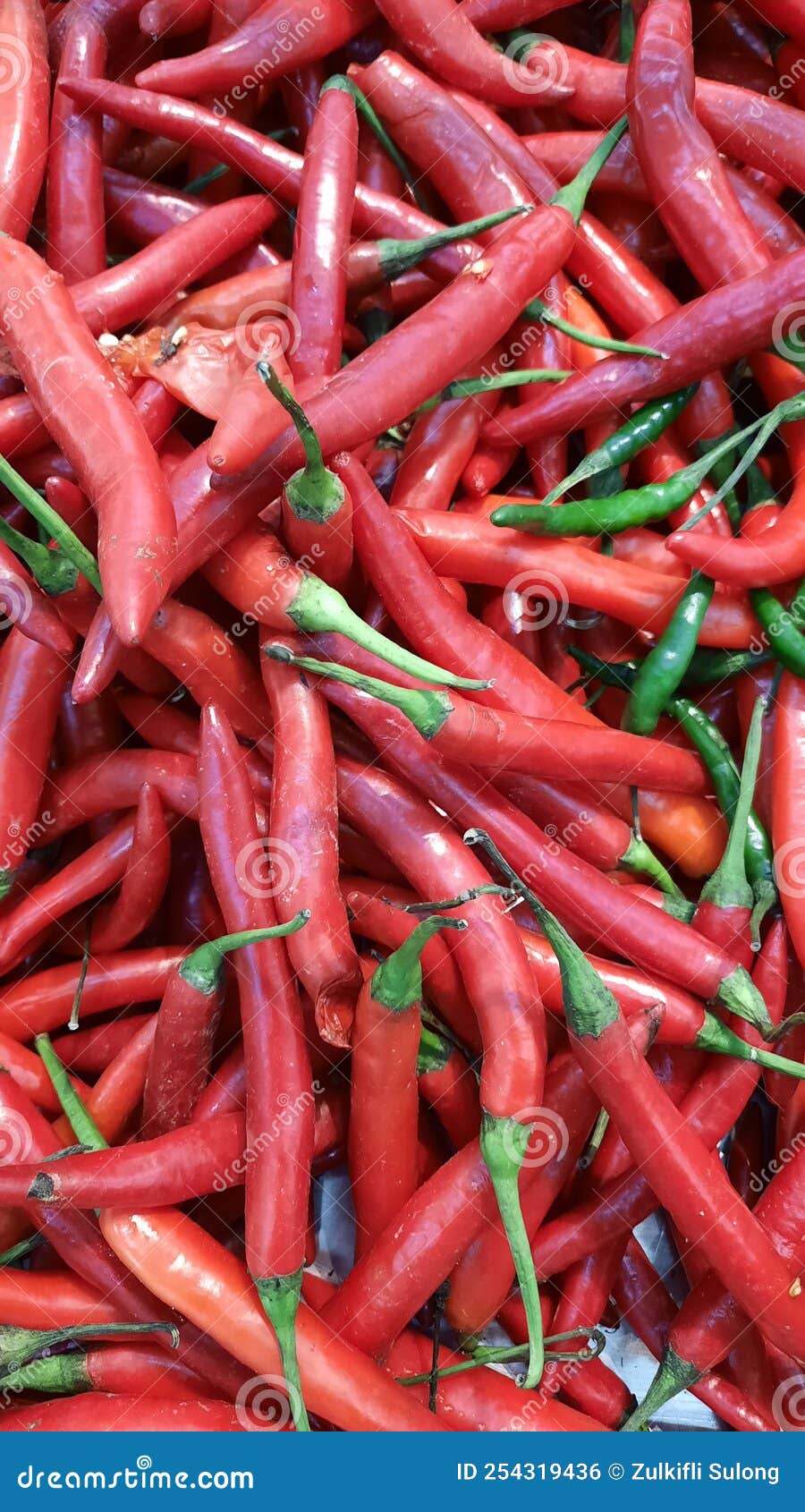 Red chilli at supermarket stock photo. Image of food - 254319436