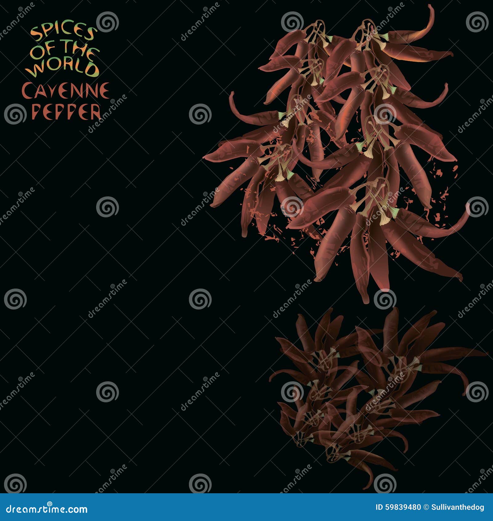 Red chilli stock vector. Illustration of paprika, powder - 59839480