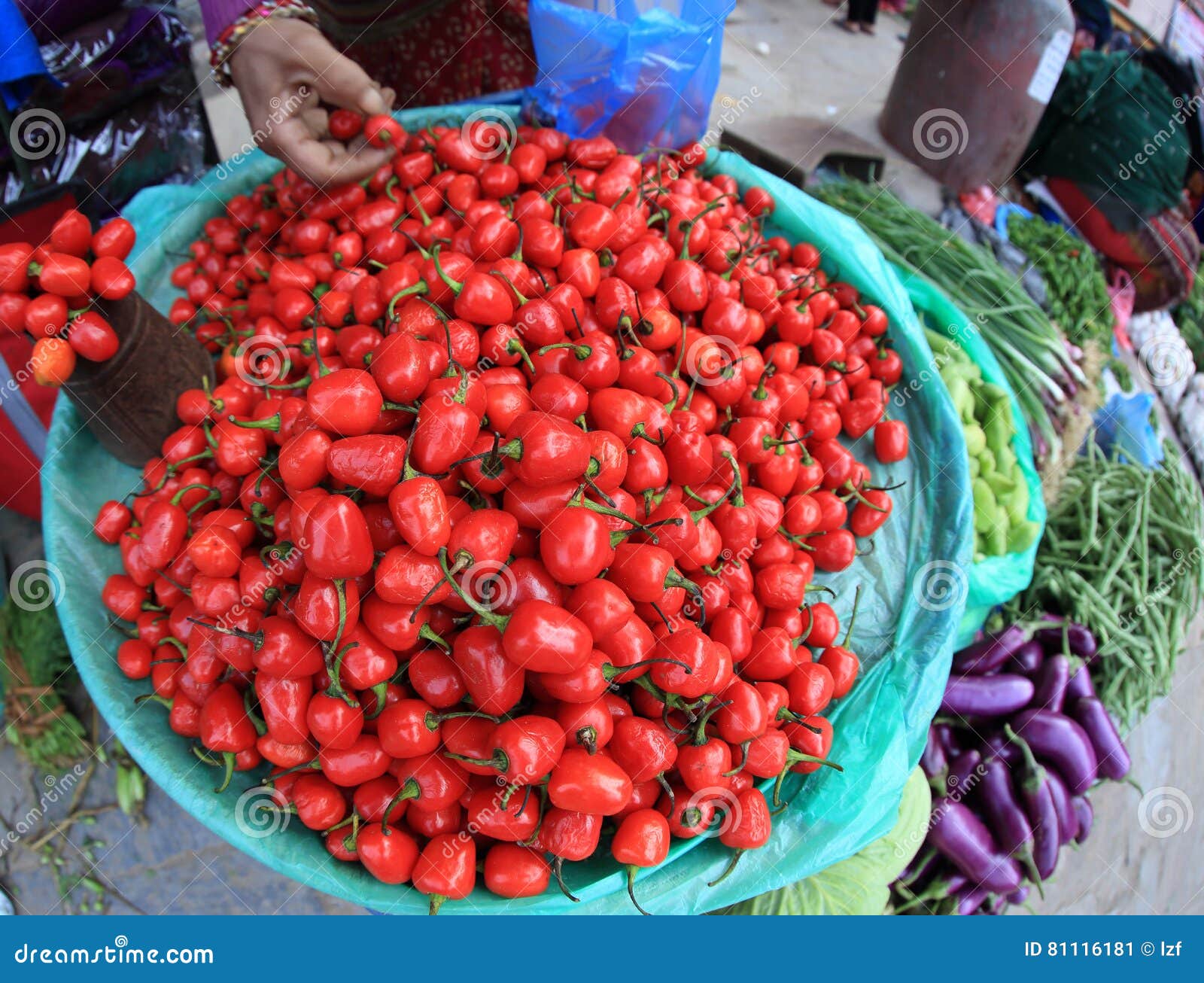 Red Chilli and Vegetables Selling Stock Image - Image of chili, hands ...