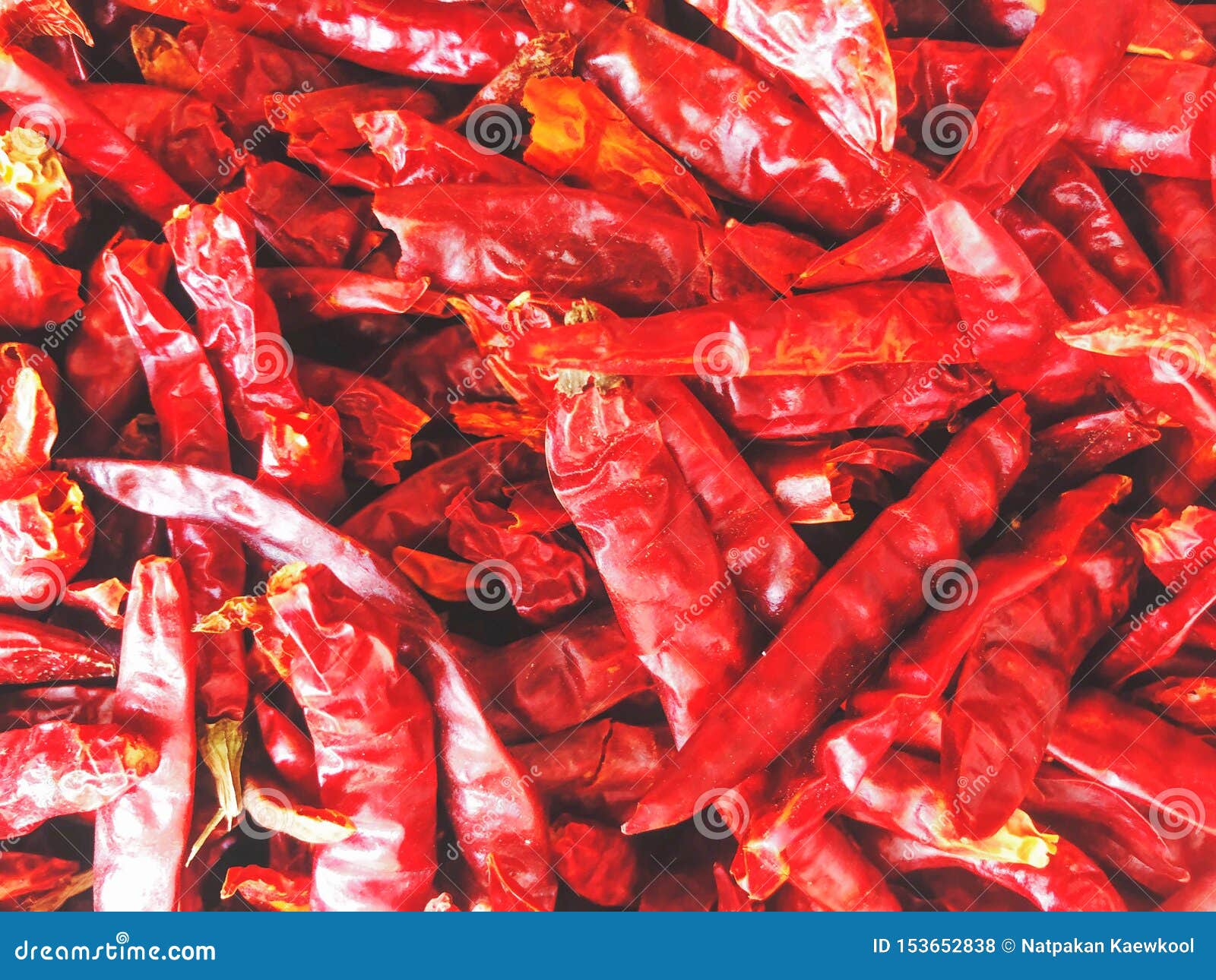 Red Chilli, Very Bright Color Stock Photo - Image of paprika, fresh ...