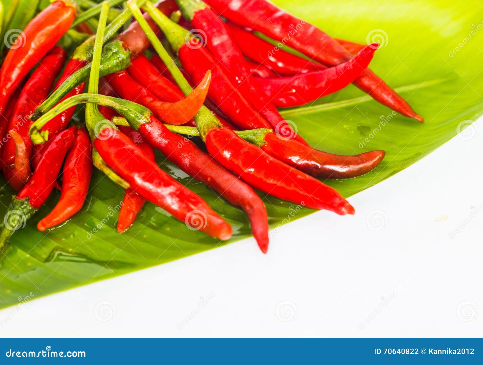 Red Chilli is Very Hot in Thai Food Stock Photo - Image of spice, spicy ...