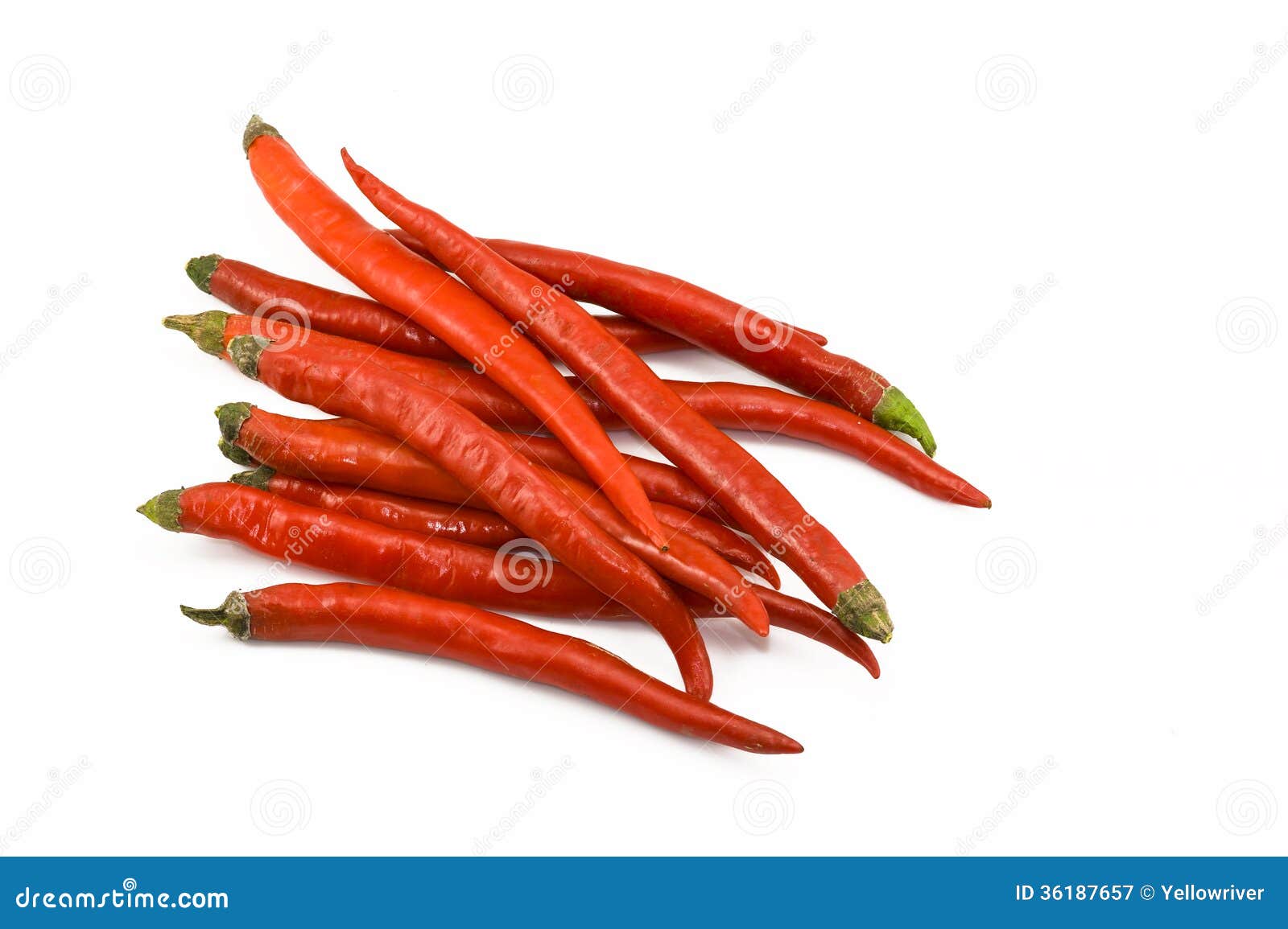 Red chilli stock image. Image of kitchen, nature, eating - 36187657