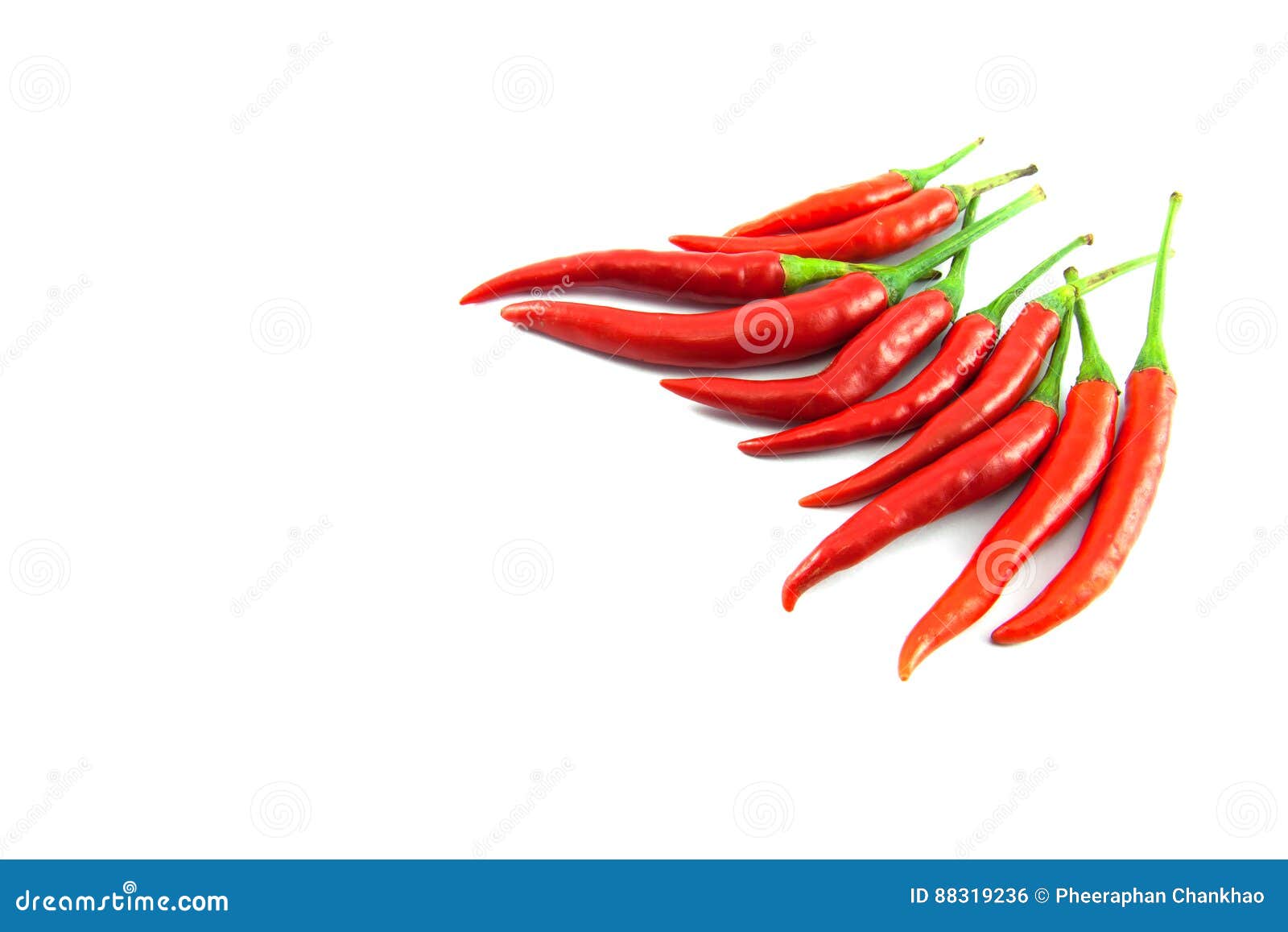 Red Chilli on White Background Stock Photo - Image of closeup ...