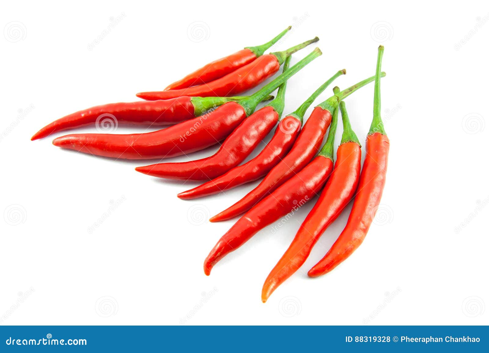 Red Chilli on White Background Stock Photo - Image of cultivate ...