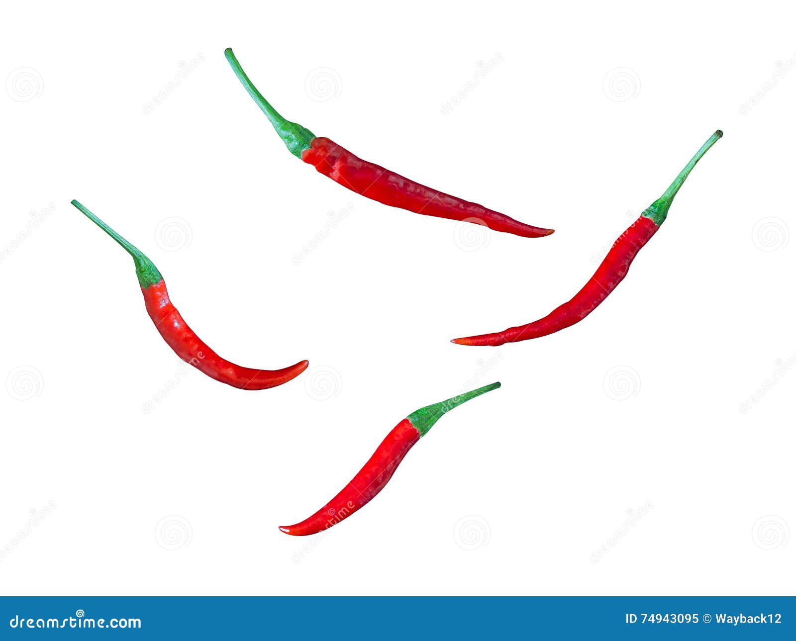 Red Chilli on White Background Stock Image - Image of mexican, burning ...
