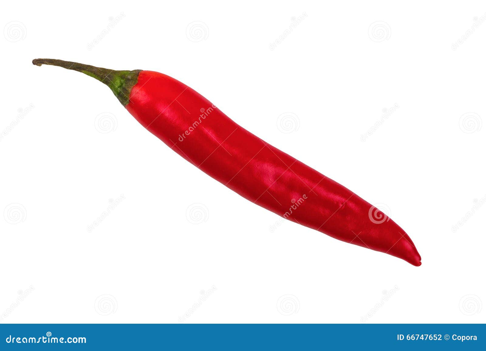 Red Chilli on a White Background Stock Photo - Image of seasoning ...