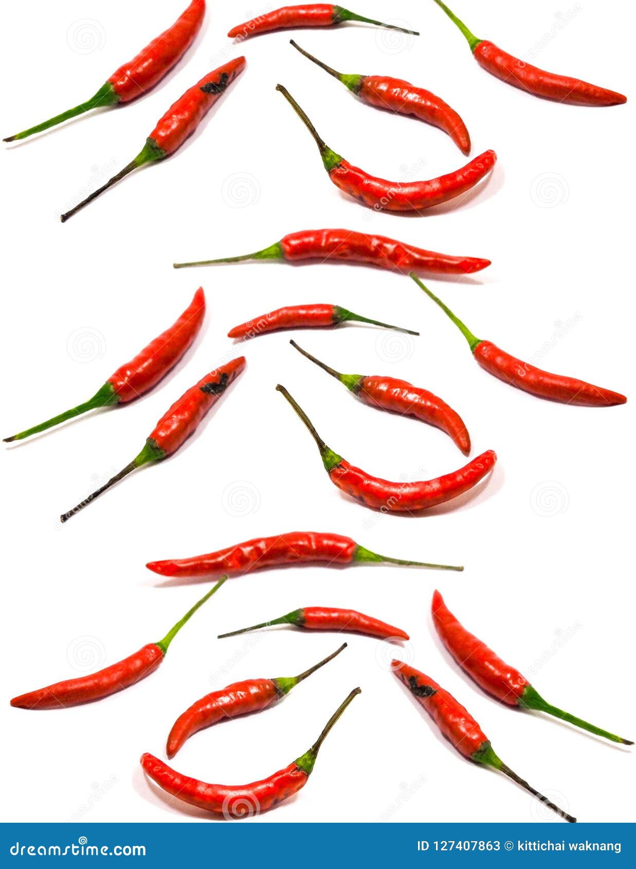 Red Chilli with White Background Stock Image - Image of chilies ...