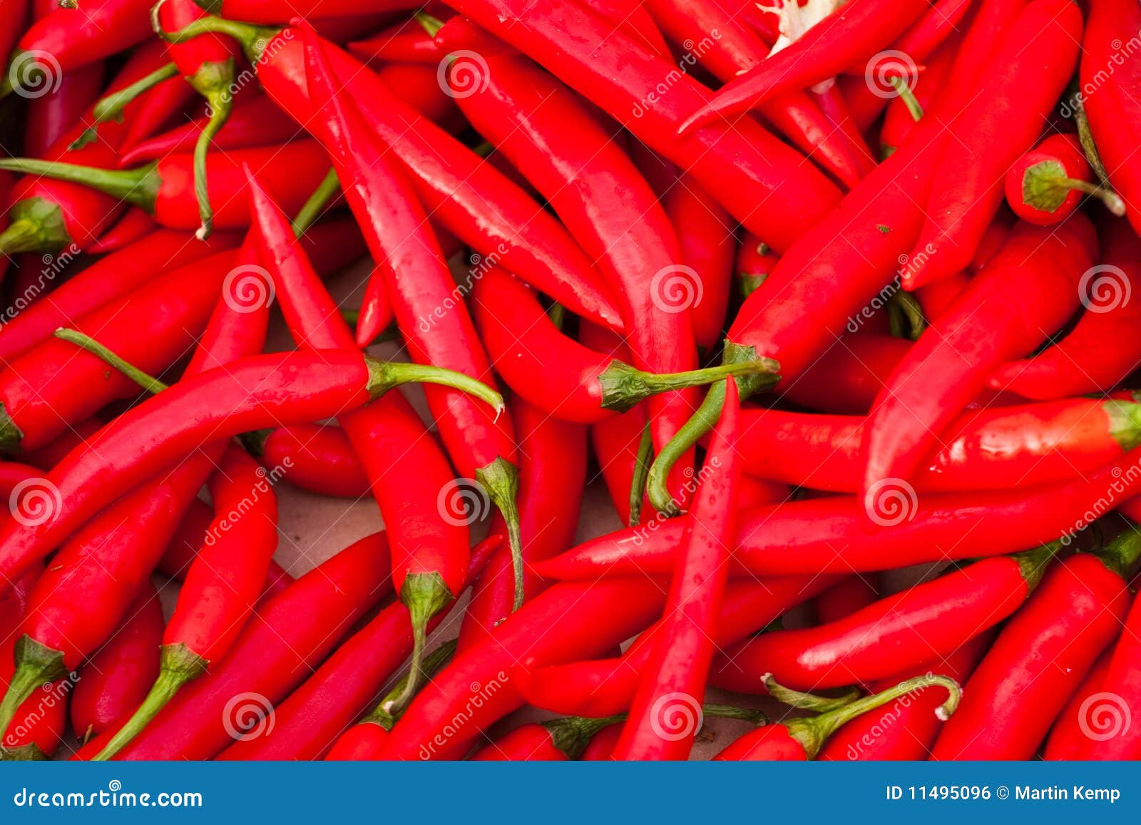 Red Chillies Royalty-Free Stock Photography | CartoonDealer.com #32937719