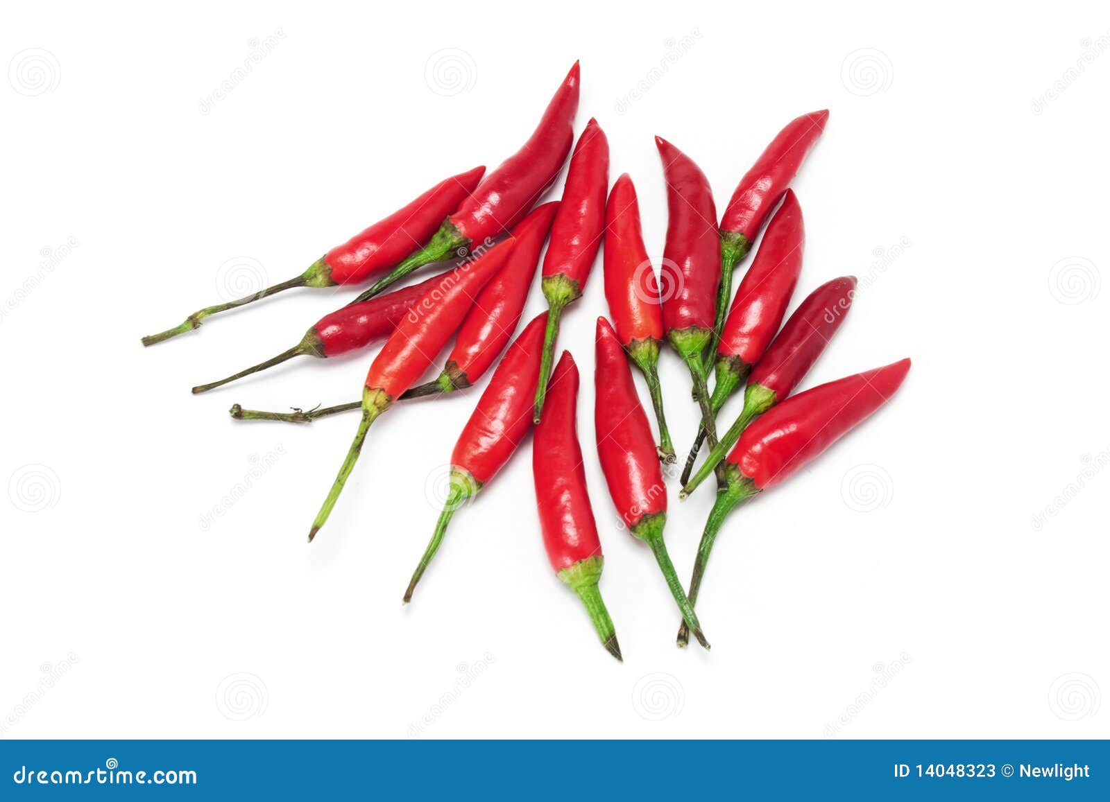 Red Chillies stock image. Image of chili, food, peppery - 14048323