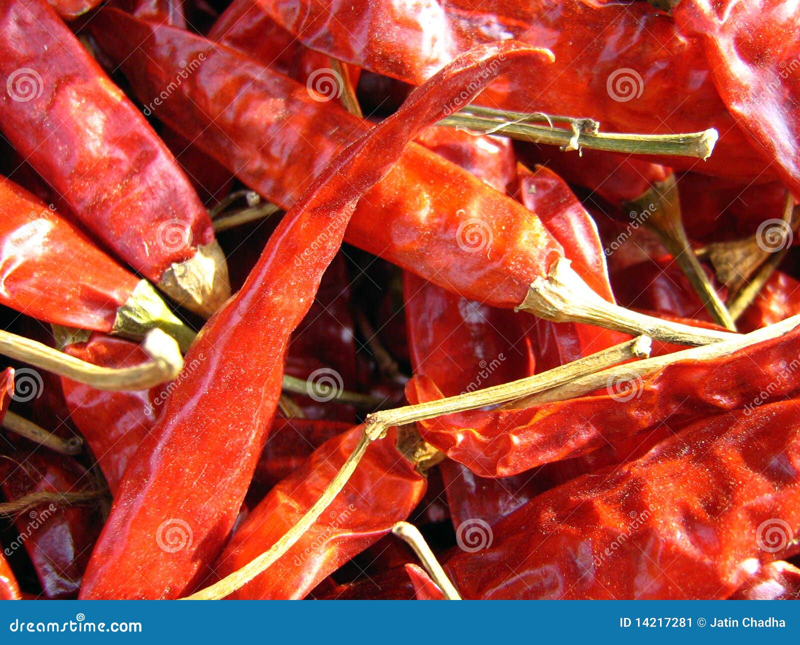 Red Chillies stock image. Image of ingredient, spicy - 14217281