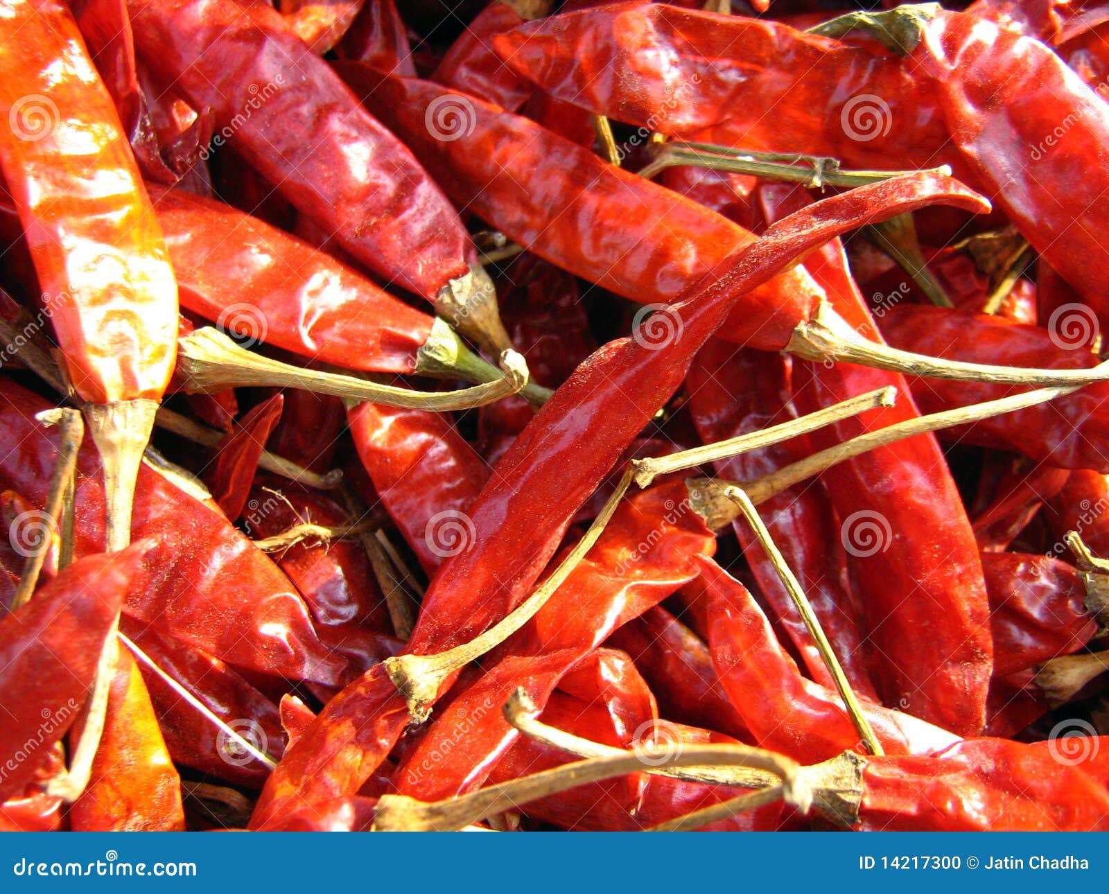Red Chillies stock photo. Image of spicy, additive, colorful - 14217300