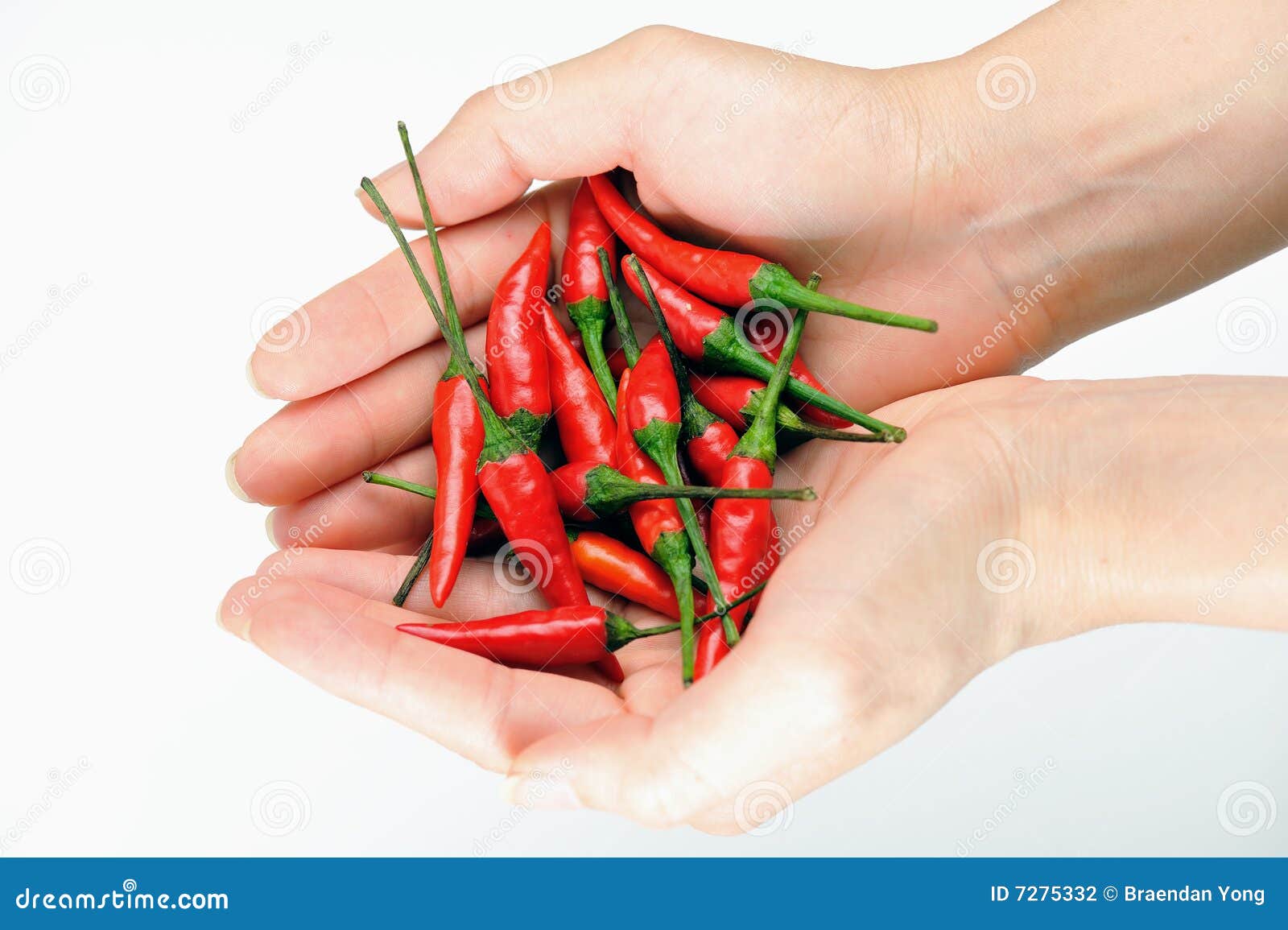 Red chillies 2 stock photo. Image of natural, cluster - 7275332