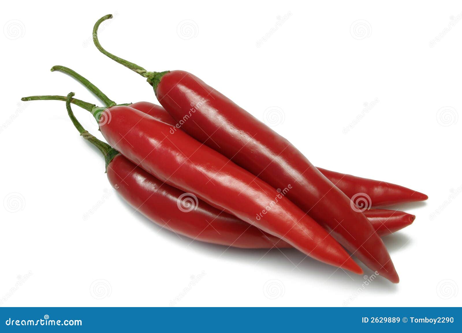 Red Chillies stock image. Image of cooking, spice, pepper - 2629889
