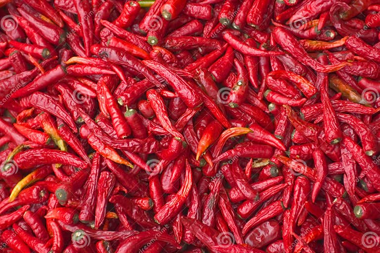Red Chillies stock image. Image of seasoning, spice, exotic - 37627