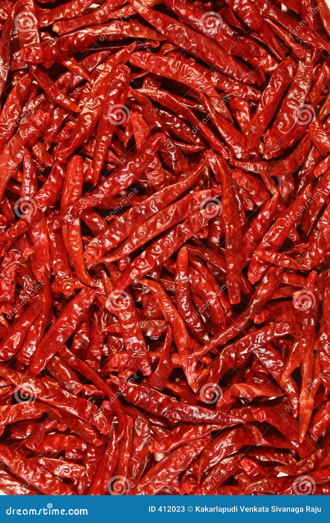 Red chillies stock image. Image of chilly, colour, shot - 412023