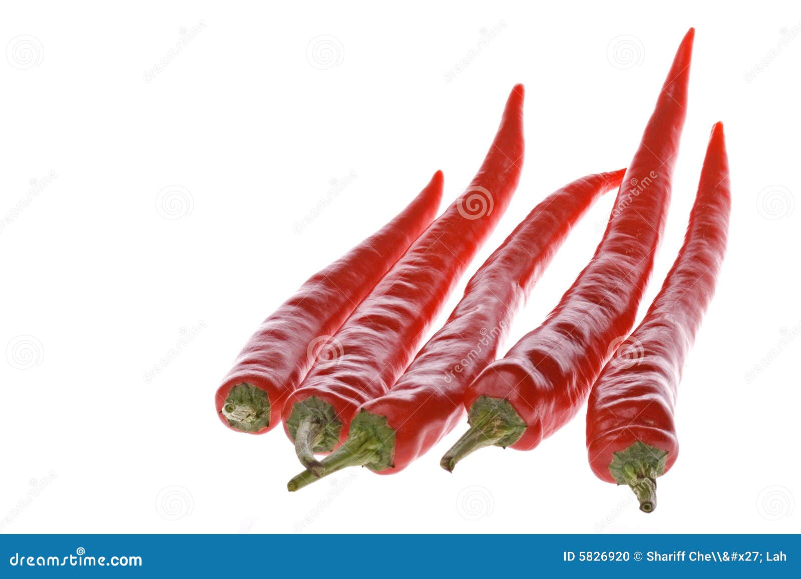 Red Chillies stock photo. Image of flavour, medicinal - 5826920