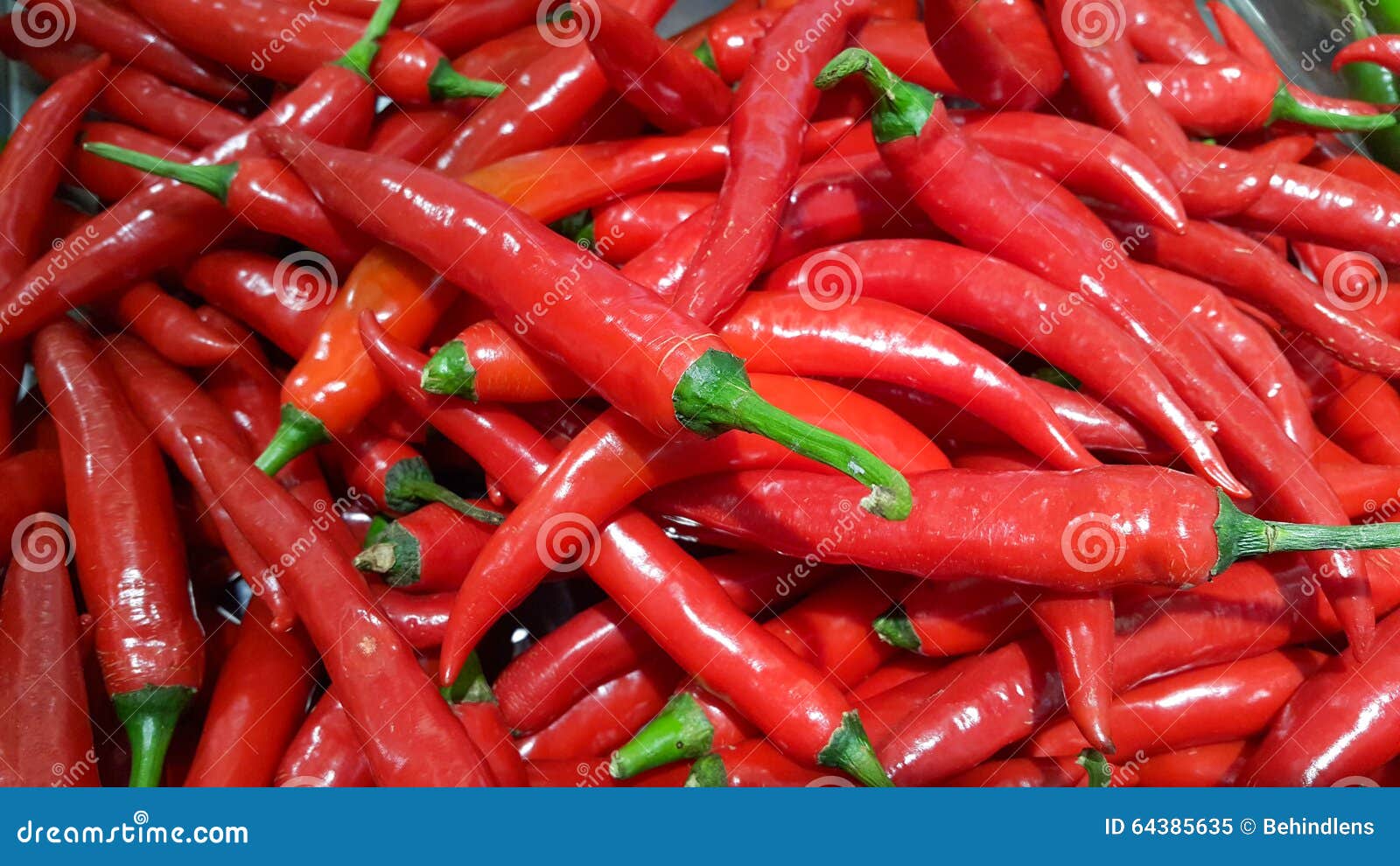 Red Chillies Background,Selective Focus. Stock Image - Image of design ...
