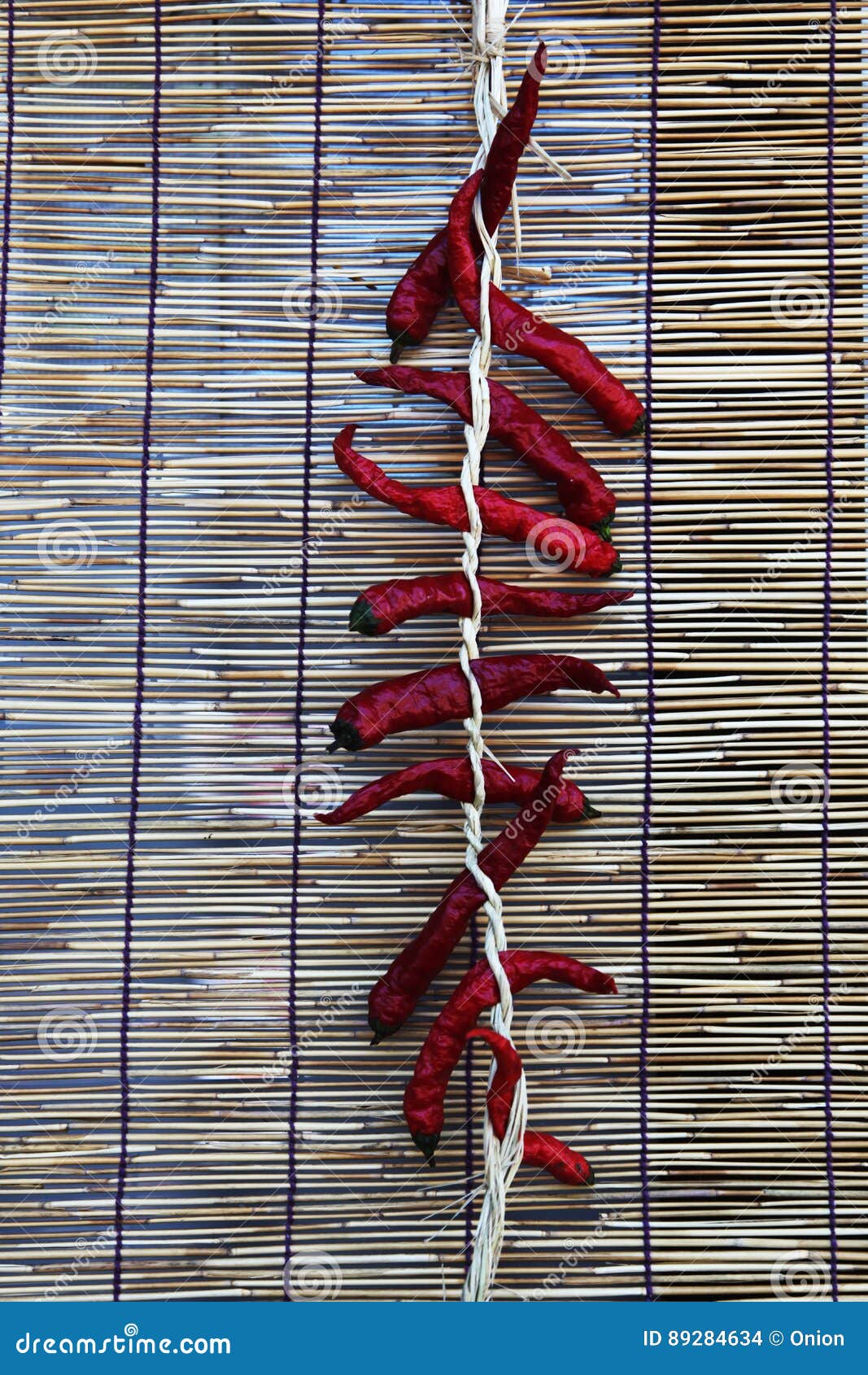 Red Chillies Drying on a String Stock Photo - Image of chilli, herb ...