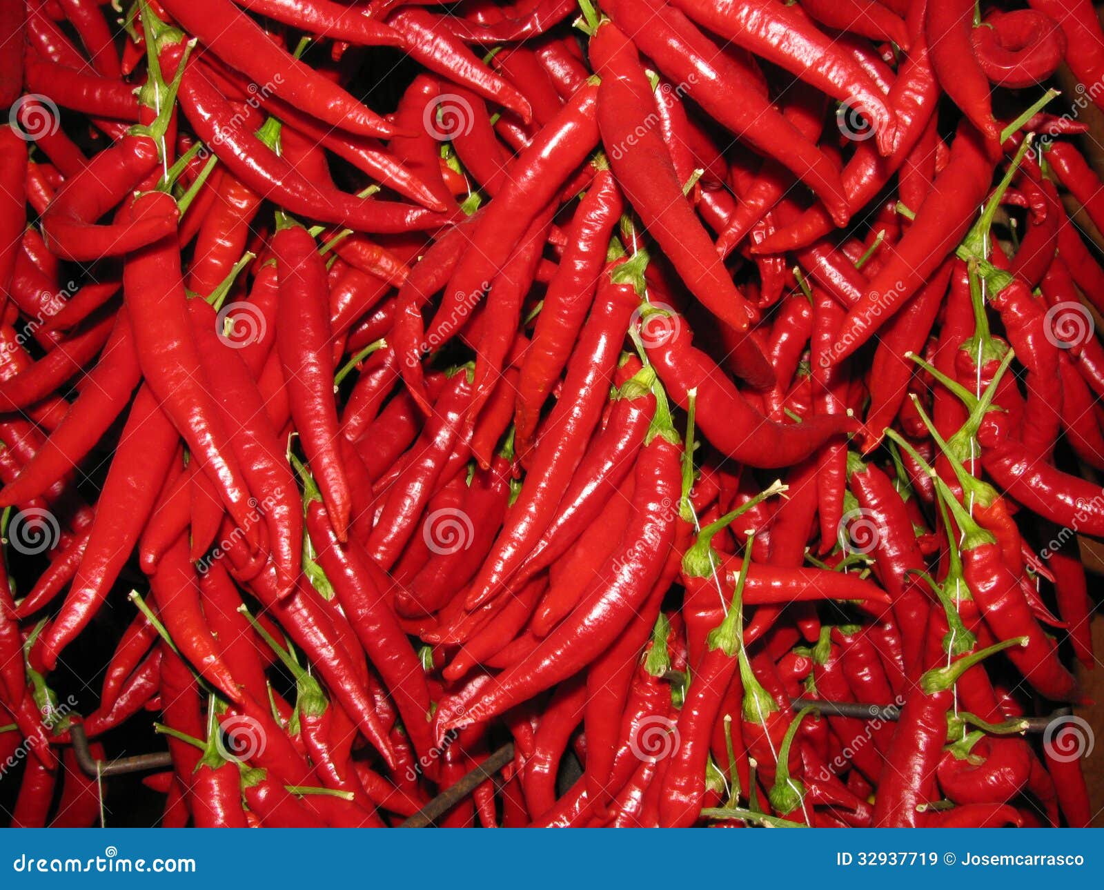 Red chillies stock image. Image of fertile, leaf, lush - 32937719