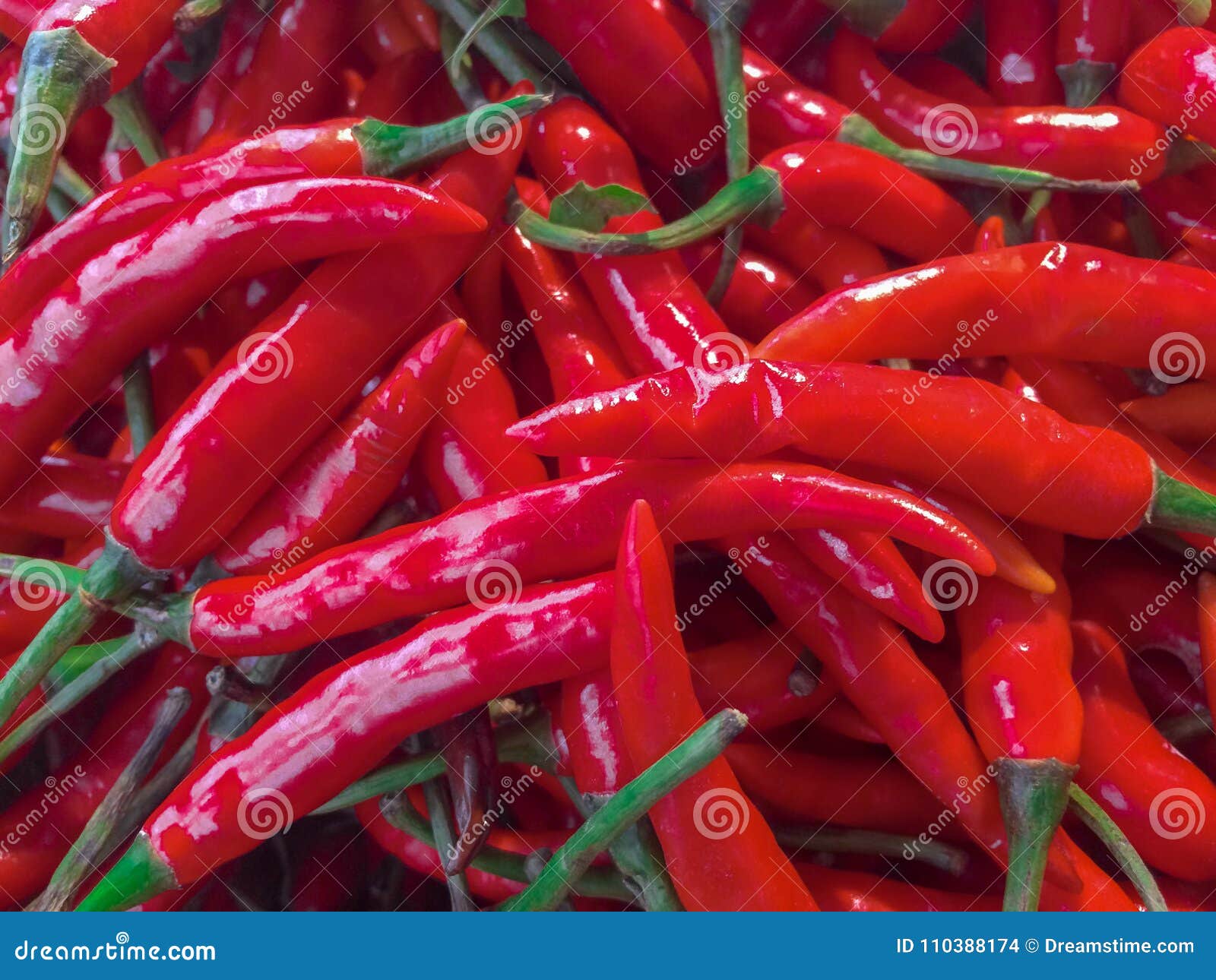 Red chillies stock photo. Image of chilli, closeup, vegetable - 110388174