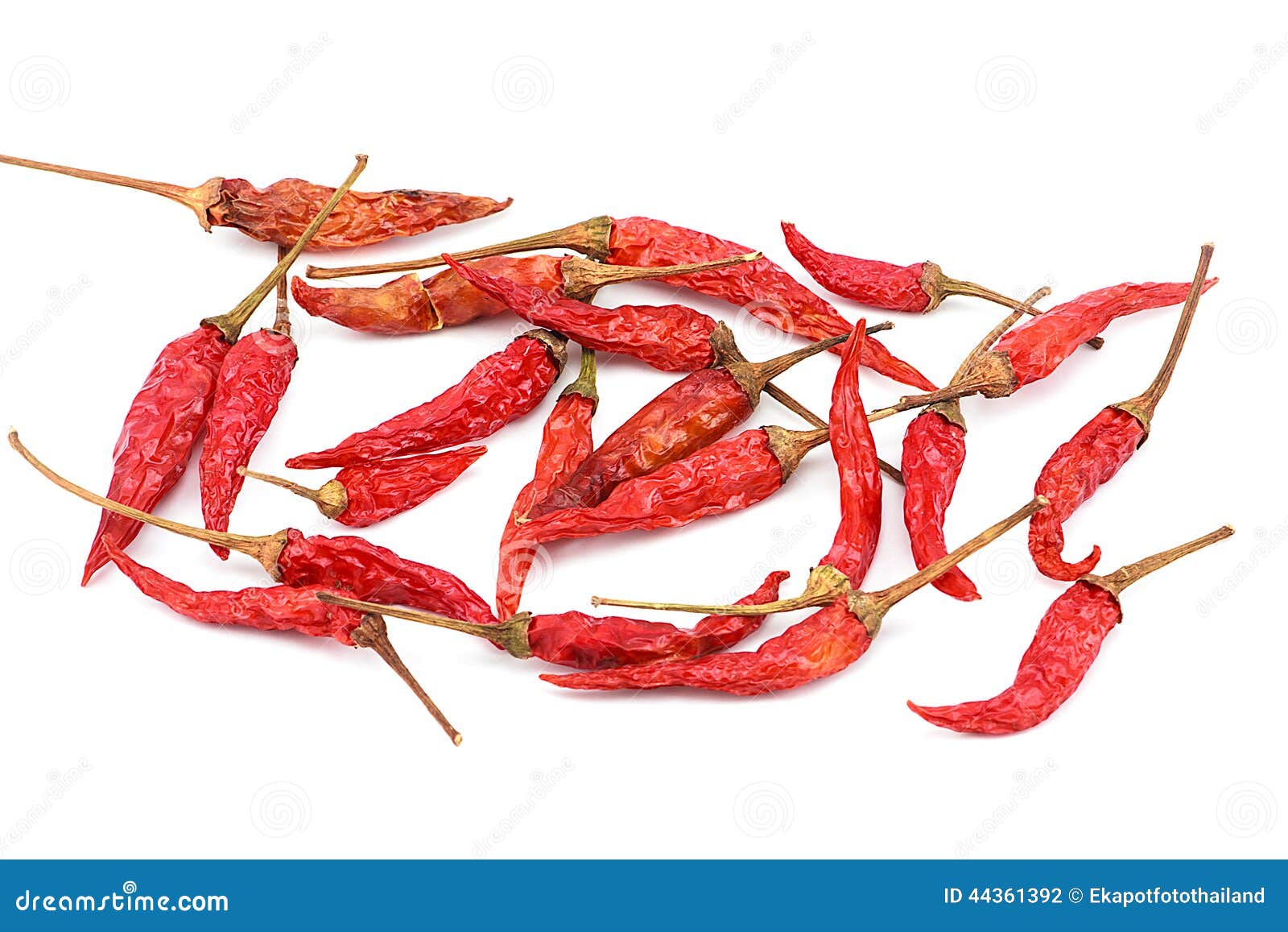 Red Chillies stock photo. Image of indoor, chillies, healthy - 44361392