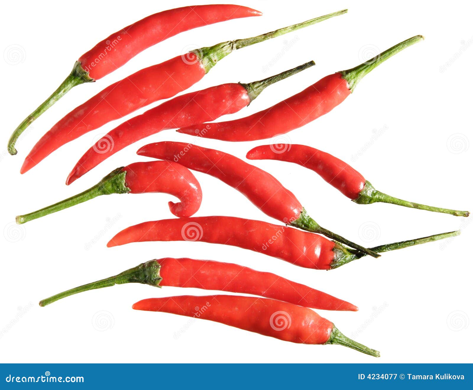 Red chillis stock image. Image of chilli, fresh, ingredients - 4234077