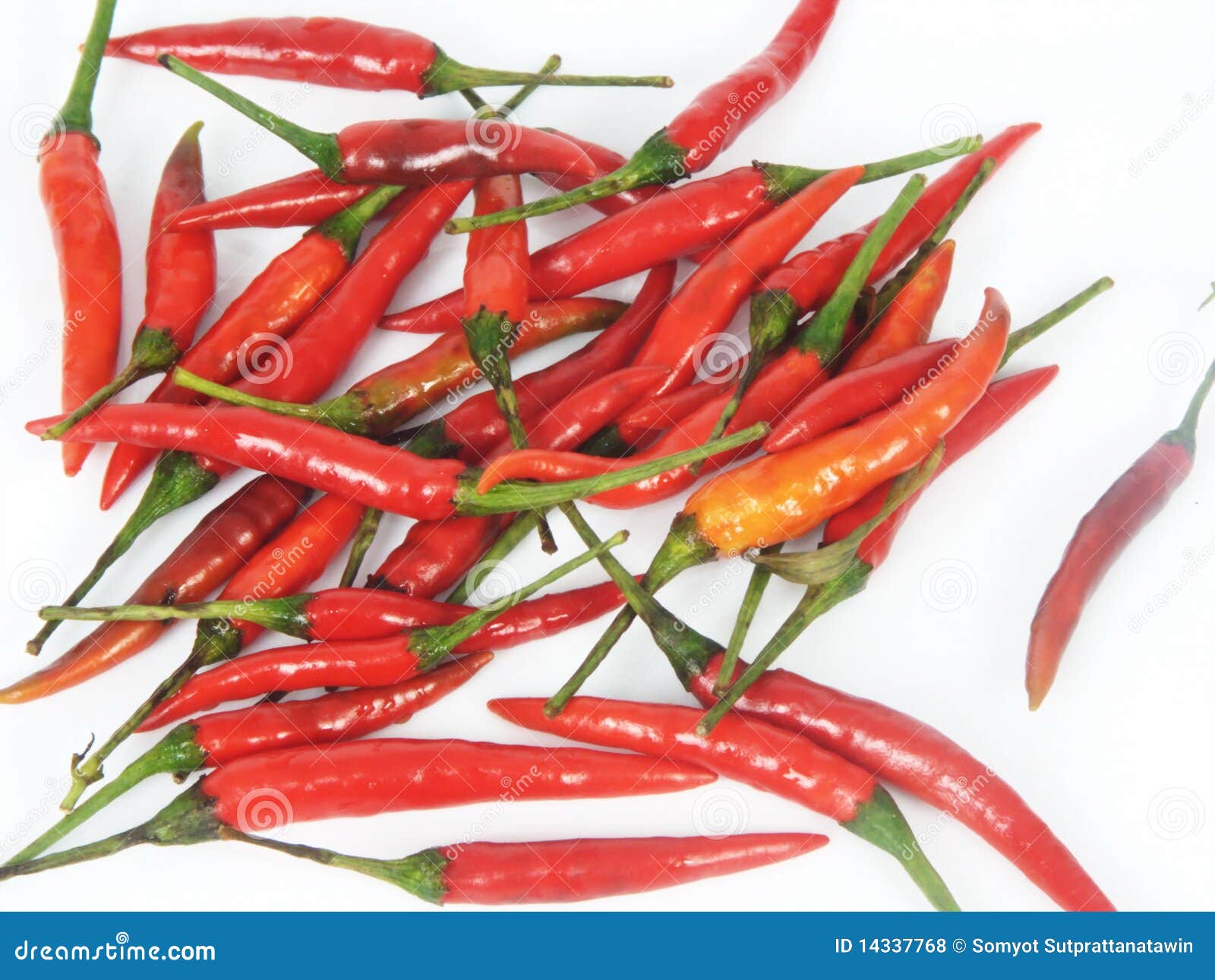 Red chilly stock photo. Image of herb, seed, food, background - 14337768