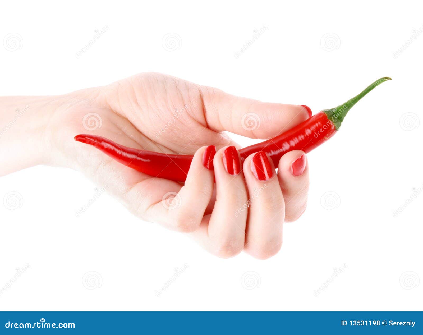Red Chilly Pepper in Hand Isolated Stock Photo - Image of mexican ...