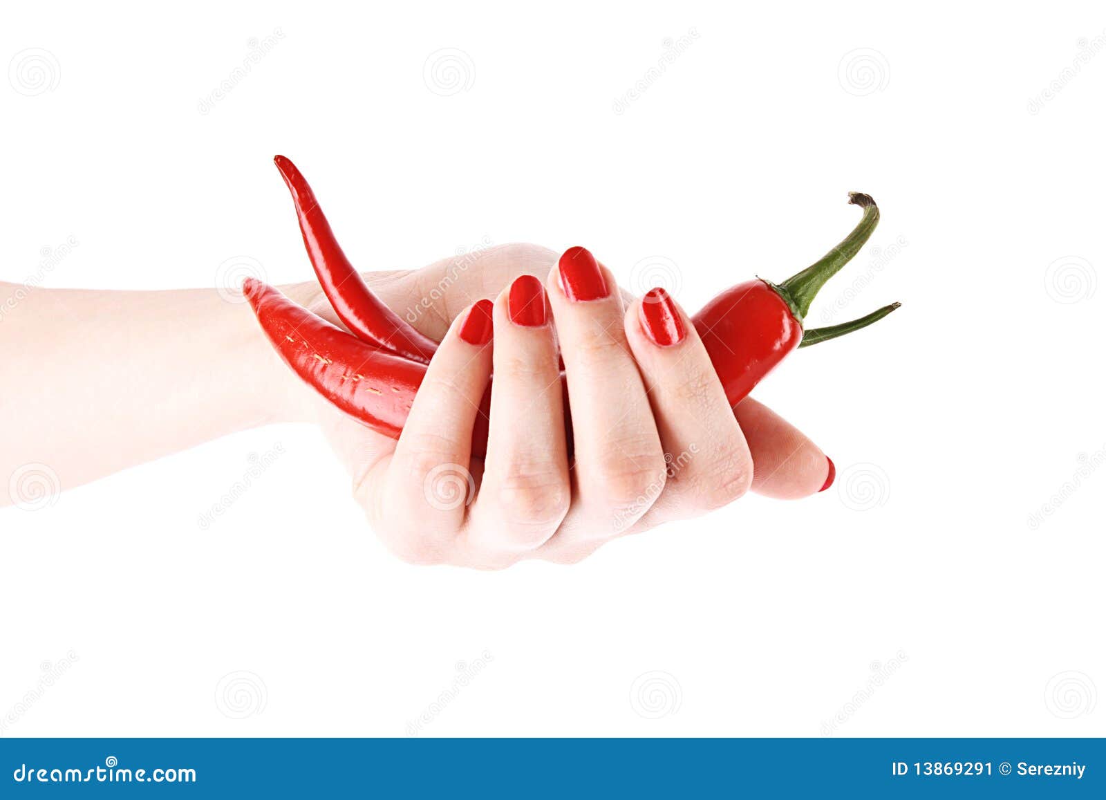 Red Chilly Pepper in Hand Isolated Stock Image - Image of green ...