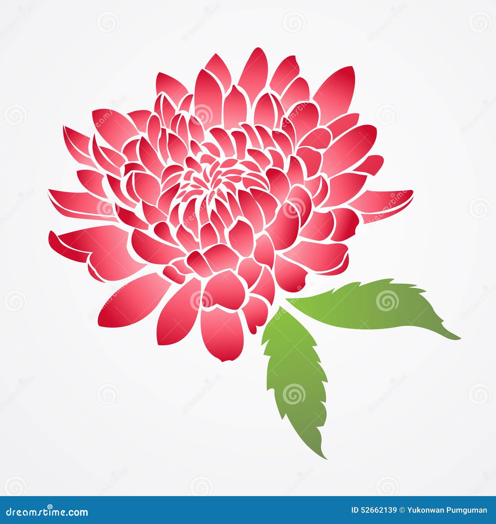 Of red chinese flower stock vector. Illustration of asian - 52662139